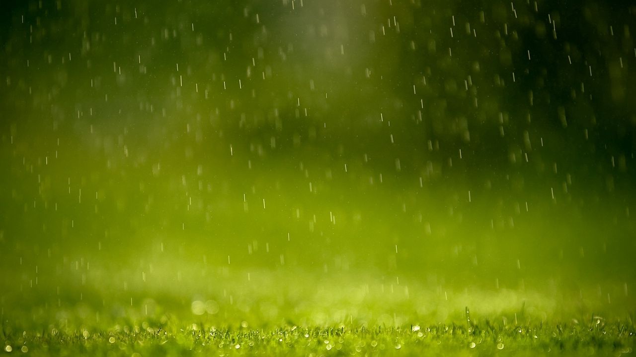 Download Wallpaper 1280x720 Grass Drops Rain Macro Hd Hdv 720p Hd Background