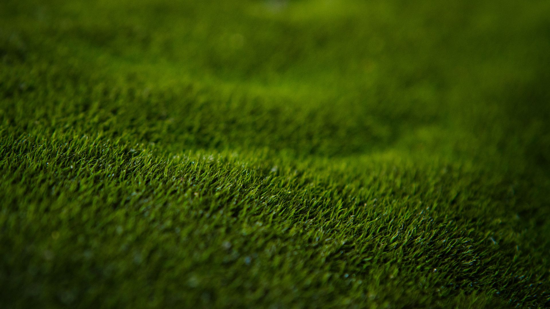 Download wallpaper 1920x1080 grass, lawn, macro, green full hd, hdtv ...