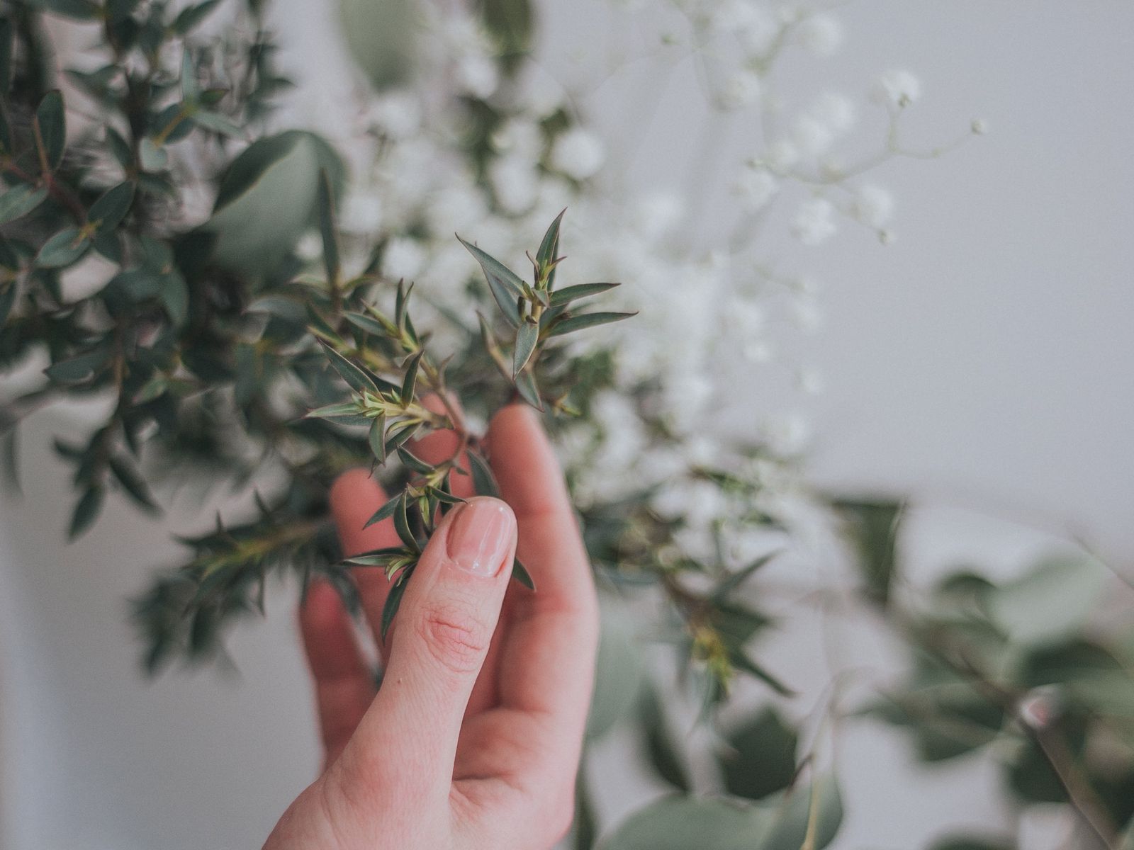 Download wallpaper 1600x1200 hand, branch, leaves, gently standard 4:3 ...