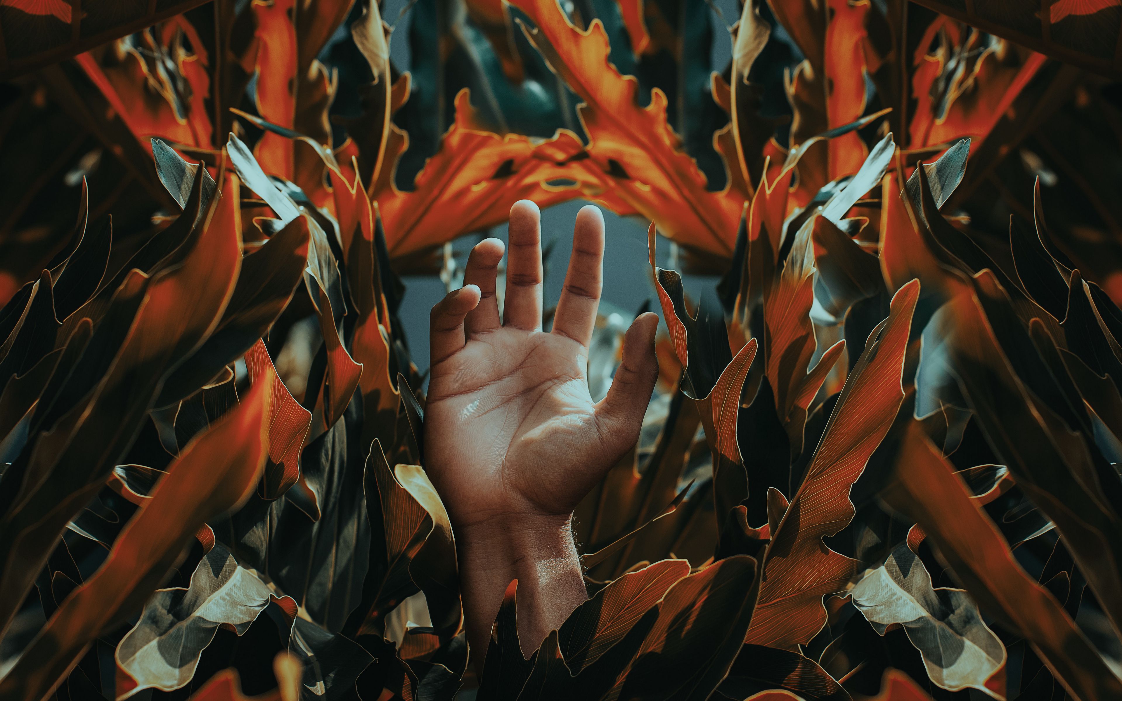 Download wallpaper 3840x2400 hand, palm, leaves, plant, fingers 4k ...