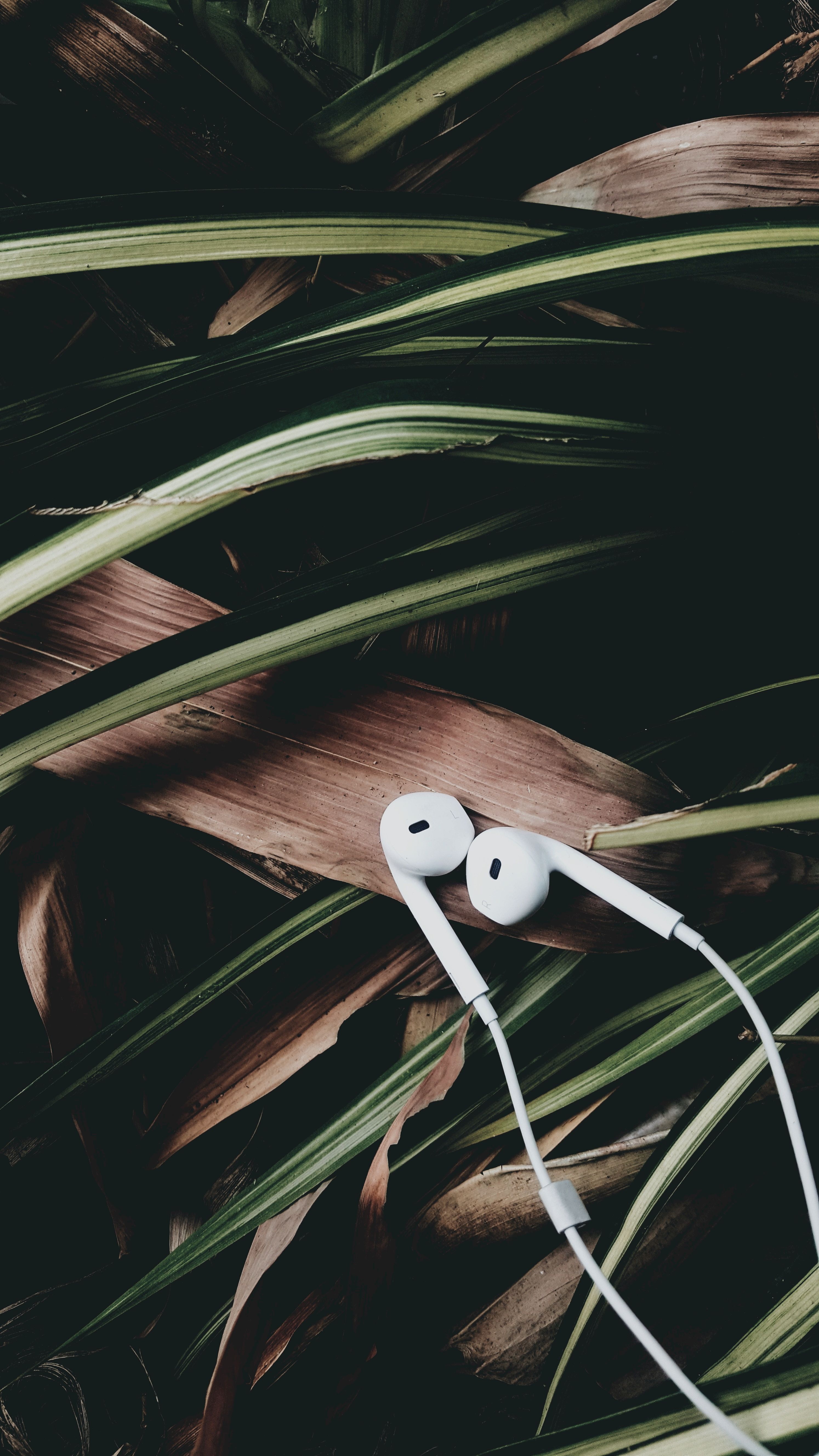 Headphones Background Tumblr