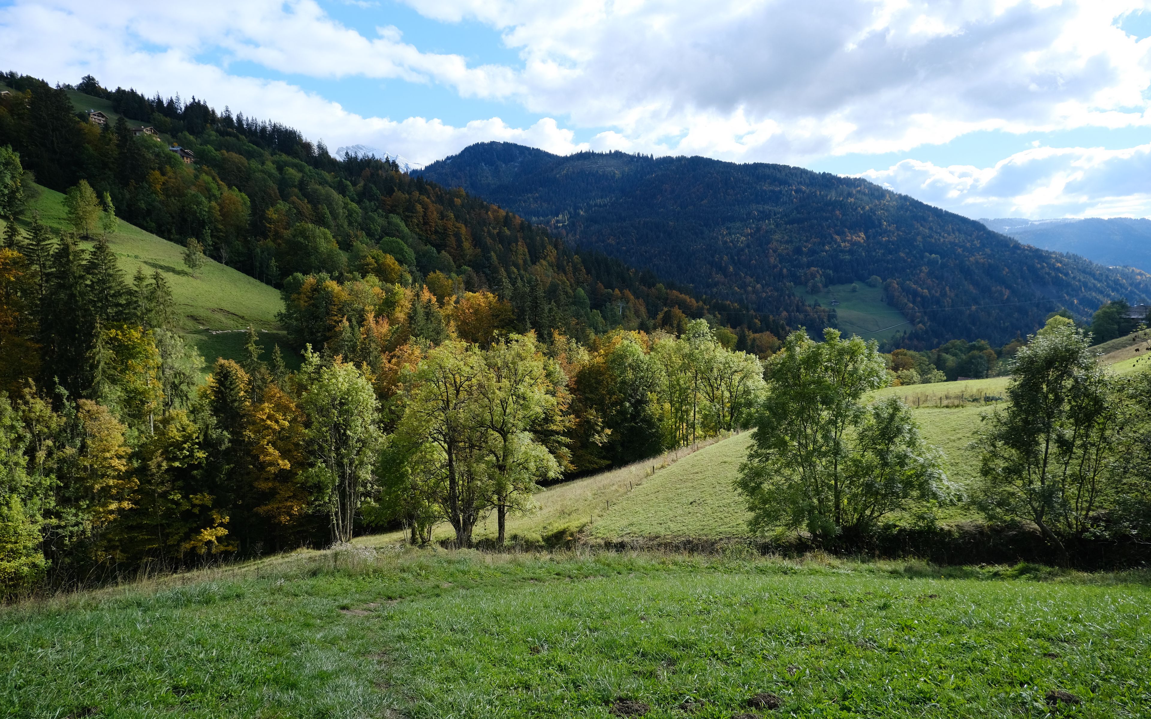 Download wallpaper 3840x2400 hills, forest, trees, field, landscape 4k ...