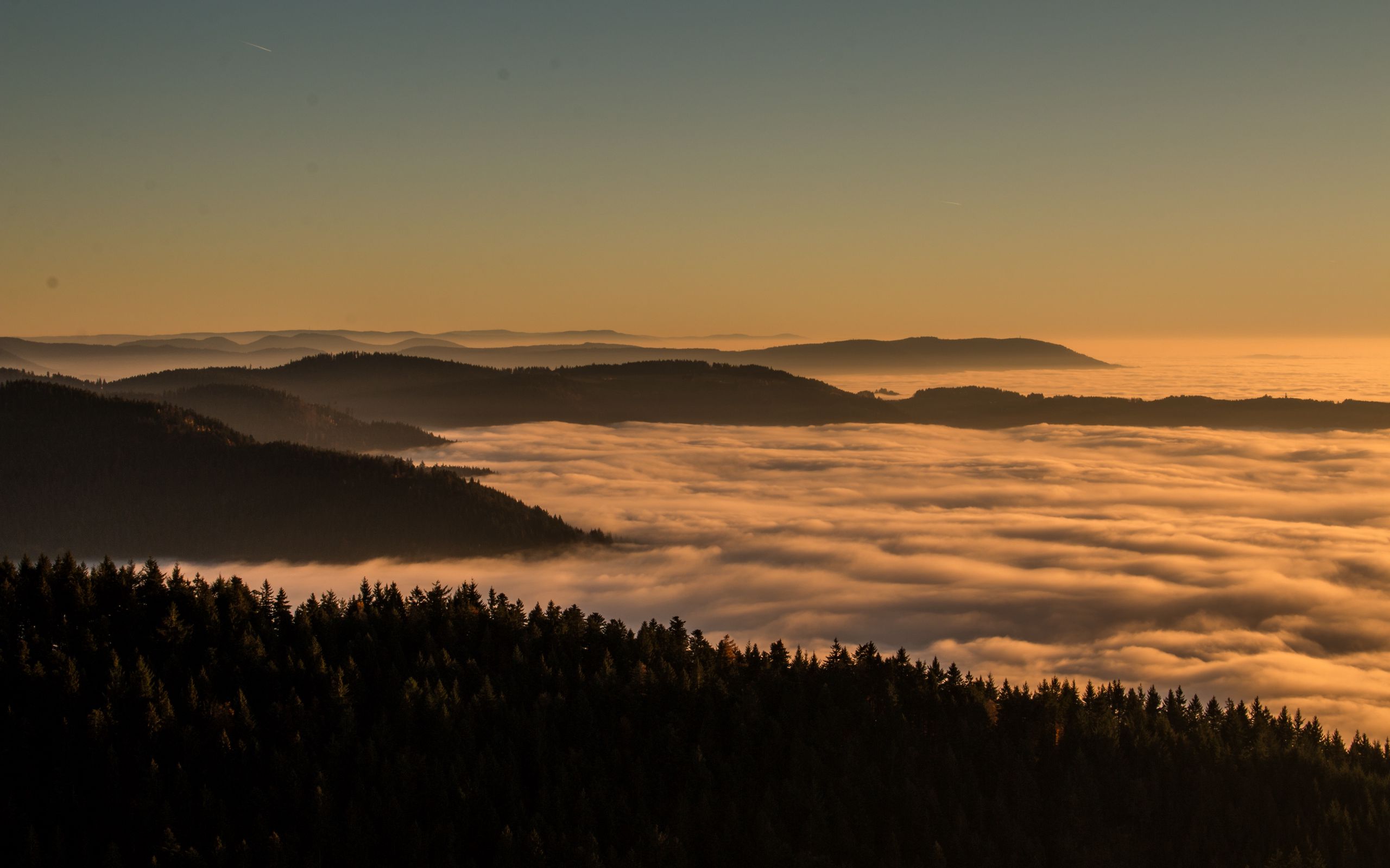 Download wallpaper 2560x1600 hills, trees, clouds, fog, twilight ...