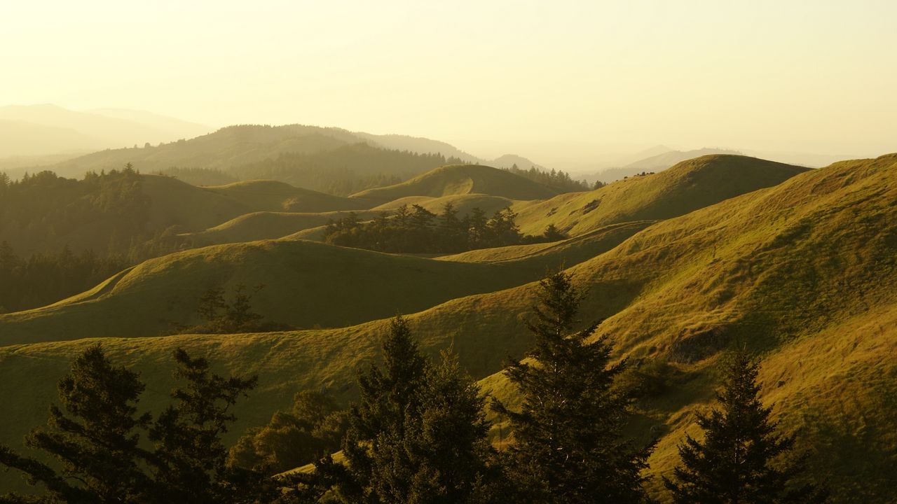Wallpaper hills, trees, landscape, nature, green hd, picture, image