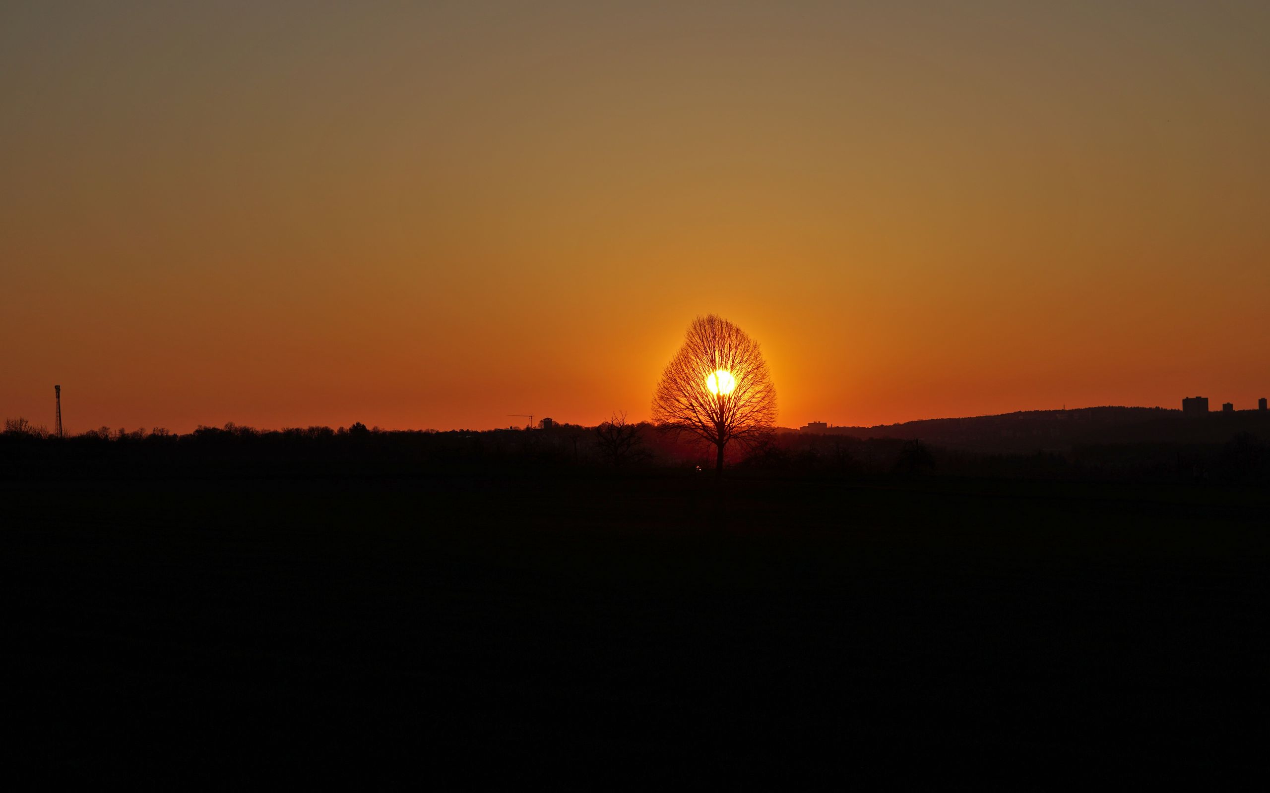Download wallpaper 2560x1600 horizon, tree, sun, sunset, dark ...