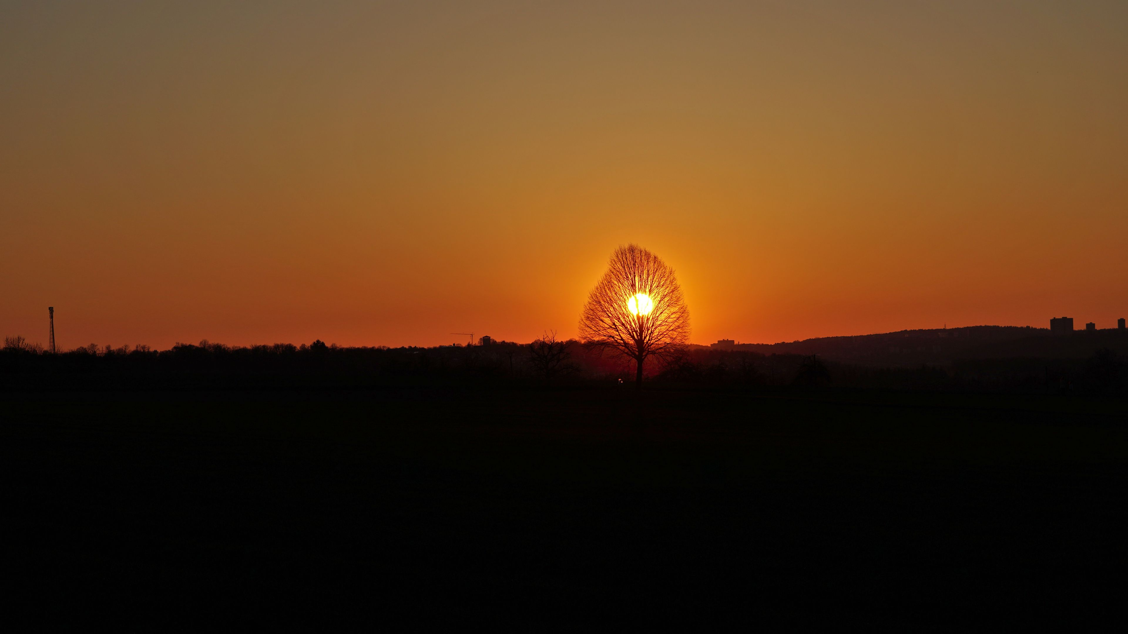 Download wallpaper 3840x2160 horizon, tree, sun, sunset, dark 4k uhd 16 ...
