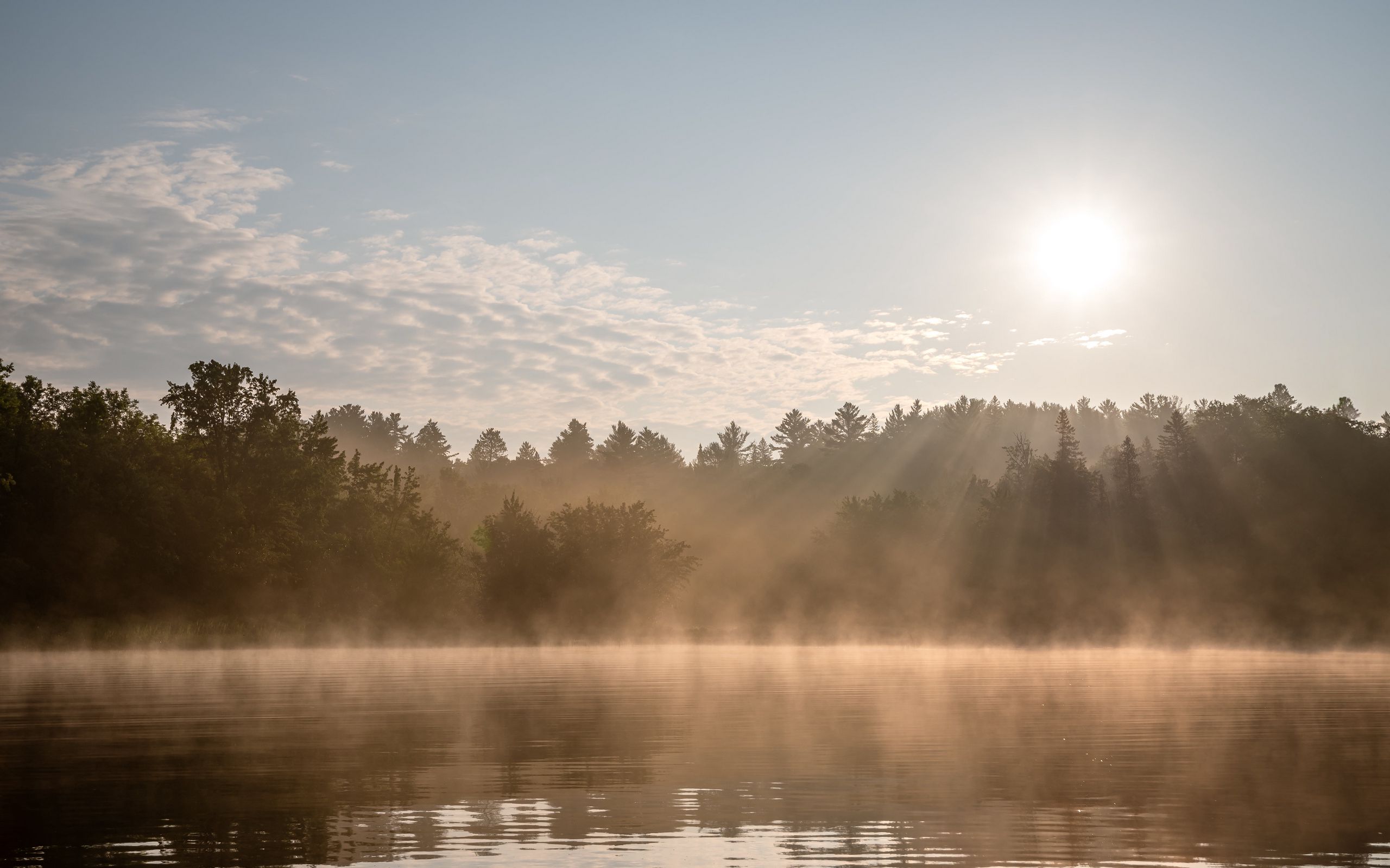 Download wallpaper 2560x1600 lake, fog, sun, morning, nature widescreen ...