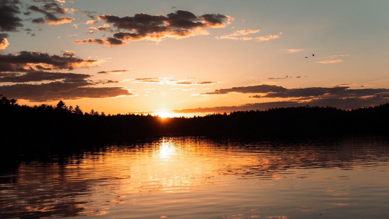 Wallpaper lake, forest, sun, sunset, dark hd, picture, image