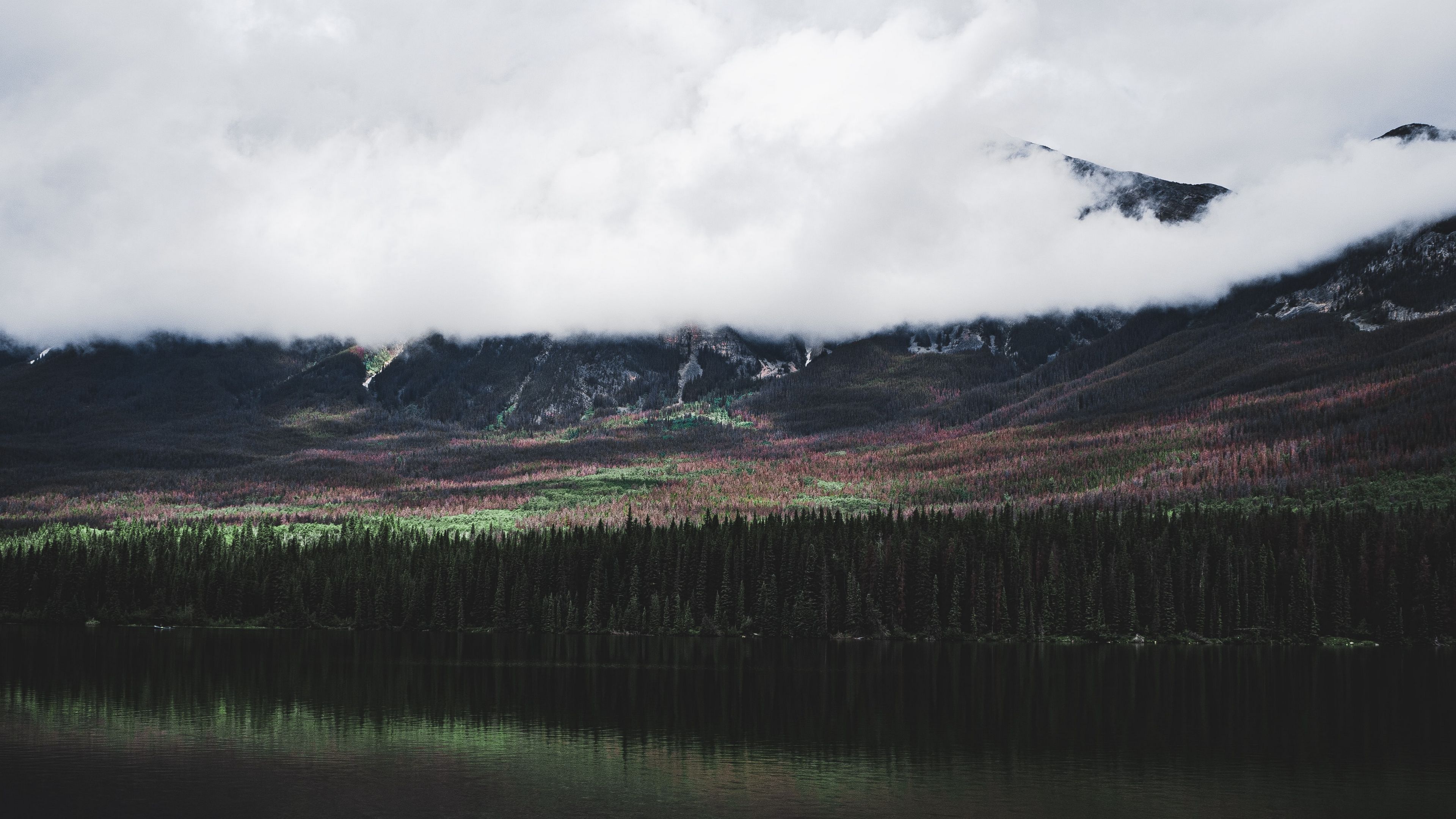 Download wallpaper 3840x2160 lake, forest, trees, mountains, clouds ...