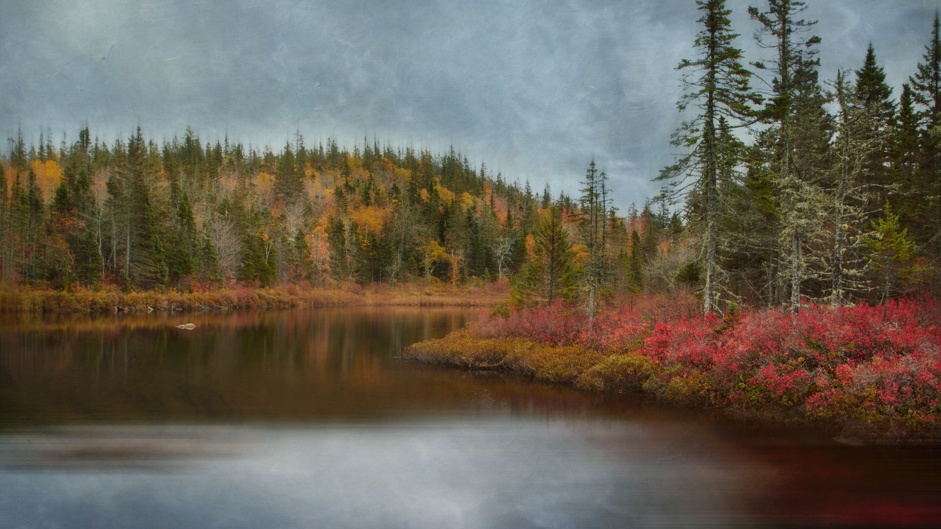 Download wallpaper 1920x1080 lake, forest, trees, autumn, landscape ...