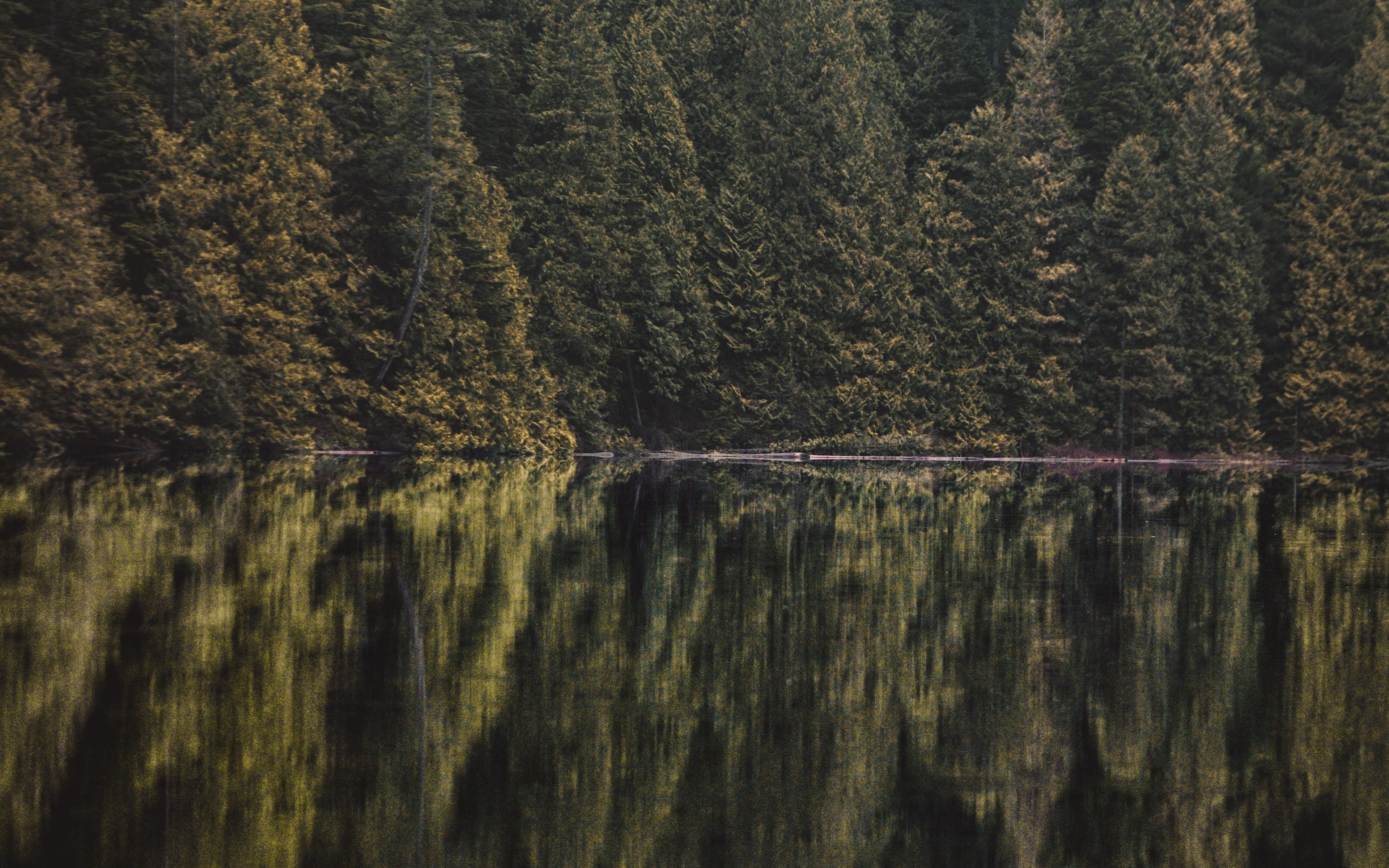Download wallpaper 3840x2400 lake, forest, trees, reflection 4k ultra ...