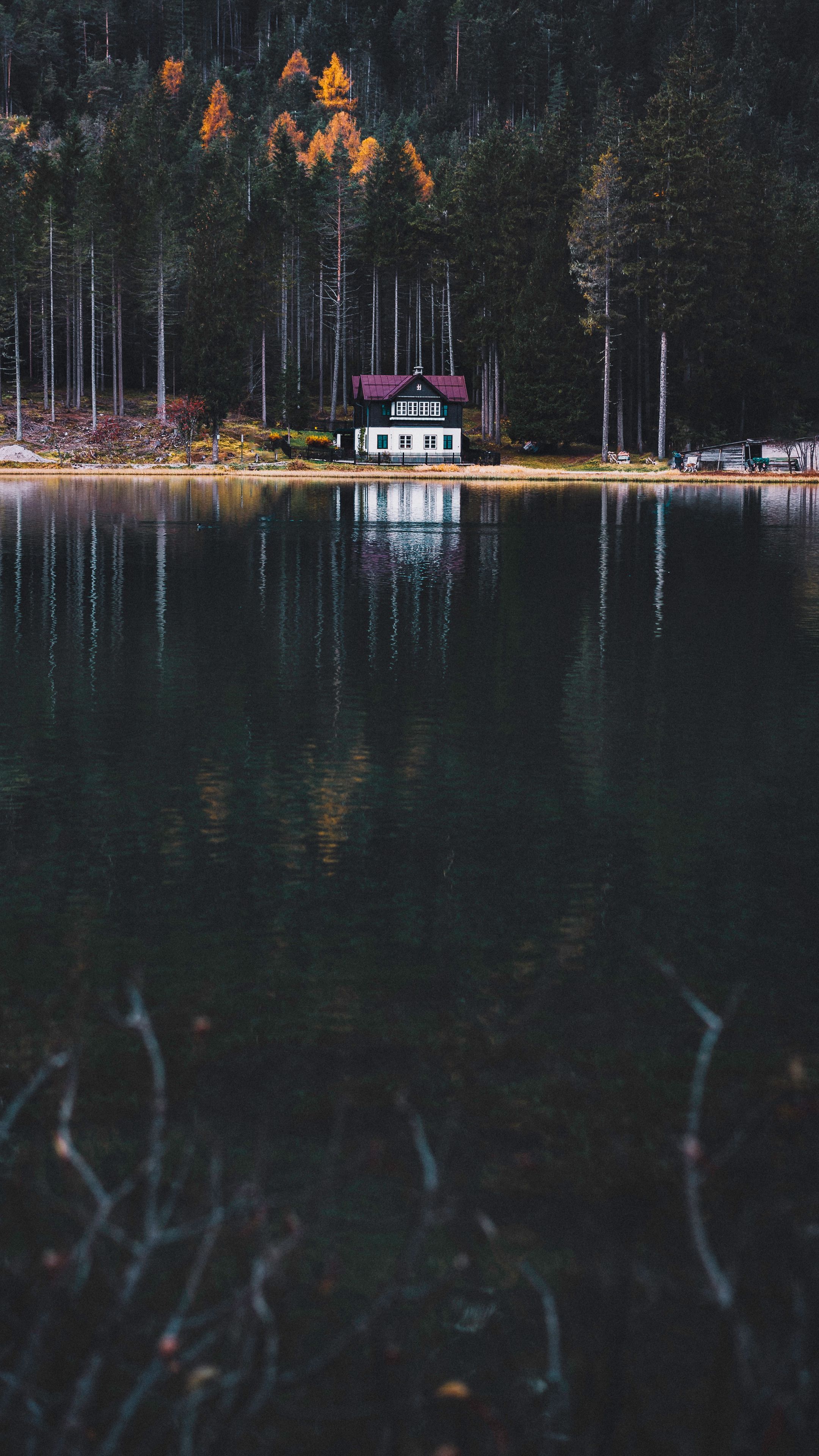 Download wallpaper 2160x3840 lake, house, forest, shore, nature samsung ...