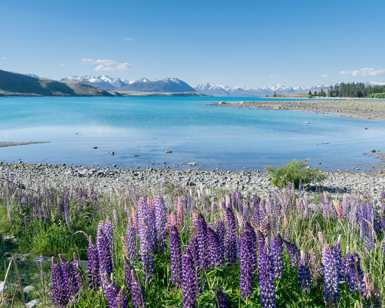 Download wallpaper 1280x1024 lake, mountains, flowers, field standard 5 ...