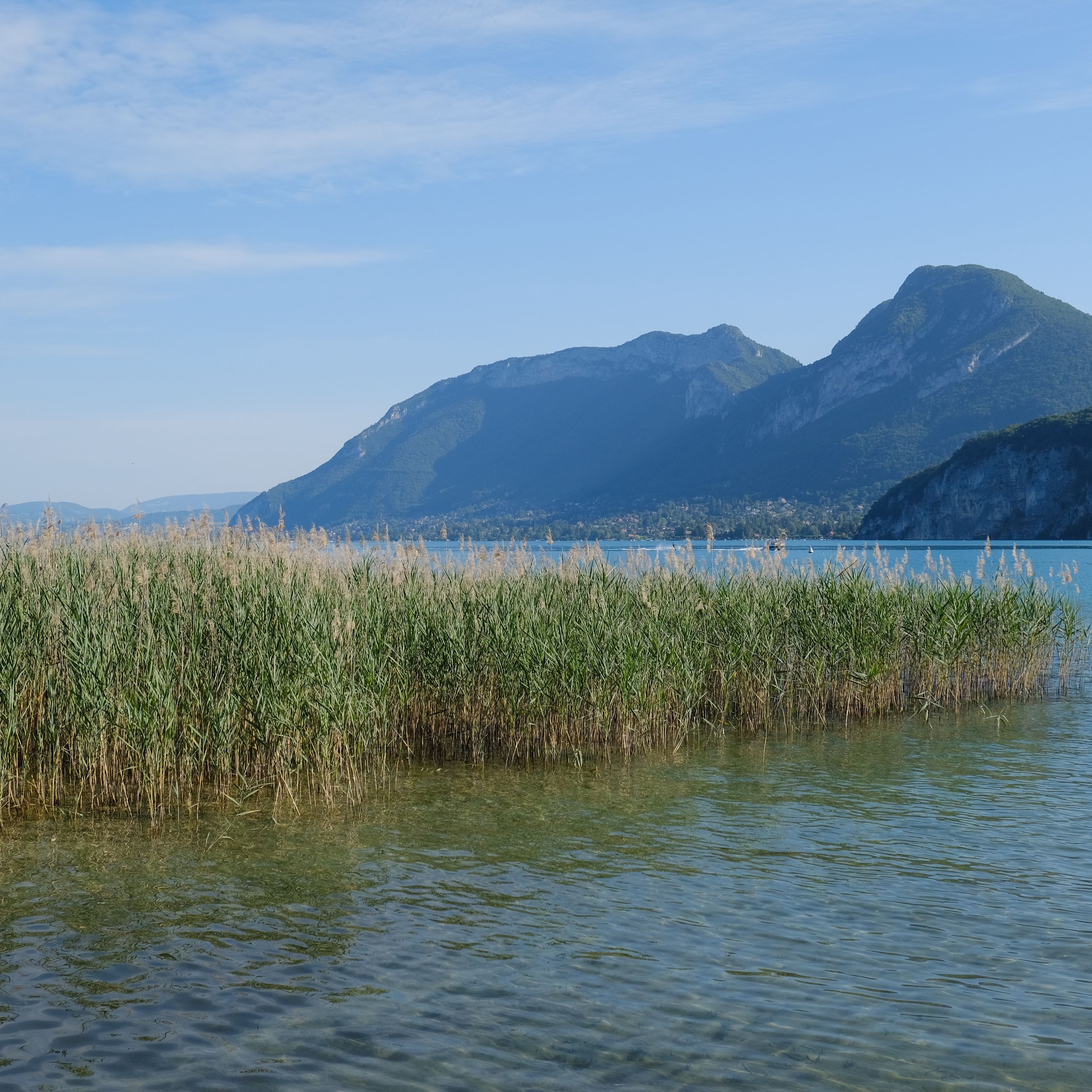 Download wallpaper 2780x2780 lake, mountains, shore, water, reeds ipad ...