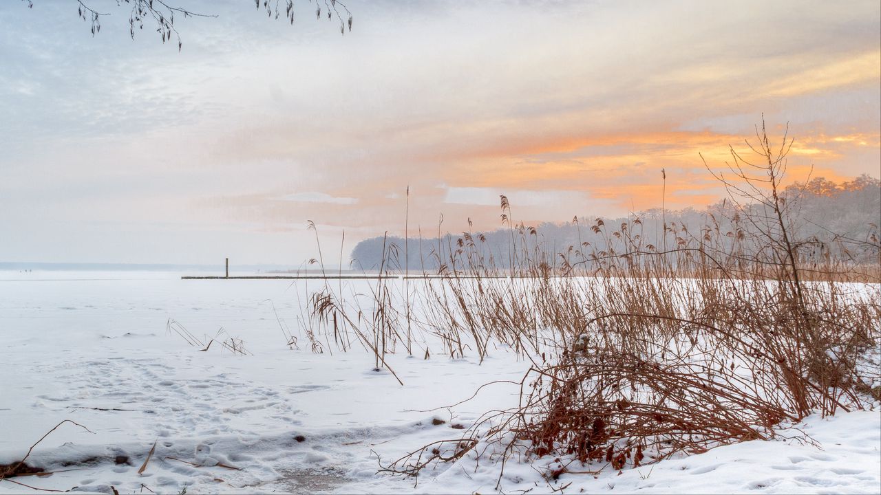 Wallpaper lake, reeds, snow, winter, nature, light hd, picture, image