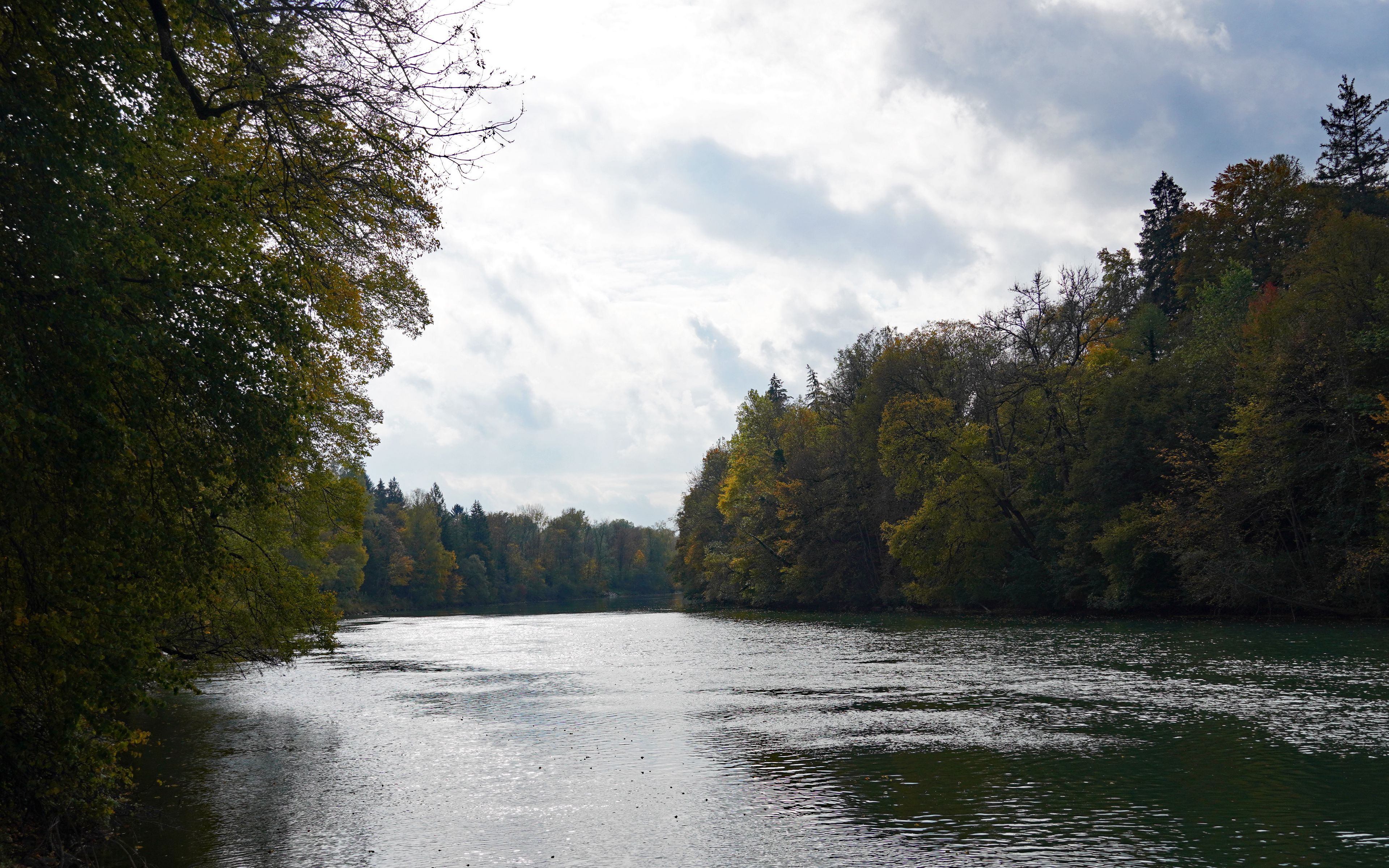 Download wallpaper 3840x2400 lake, trees, branches, water 4k ultra hd ...