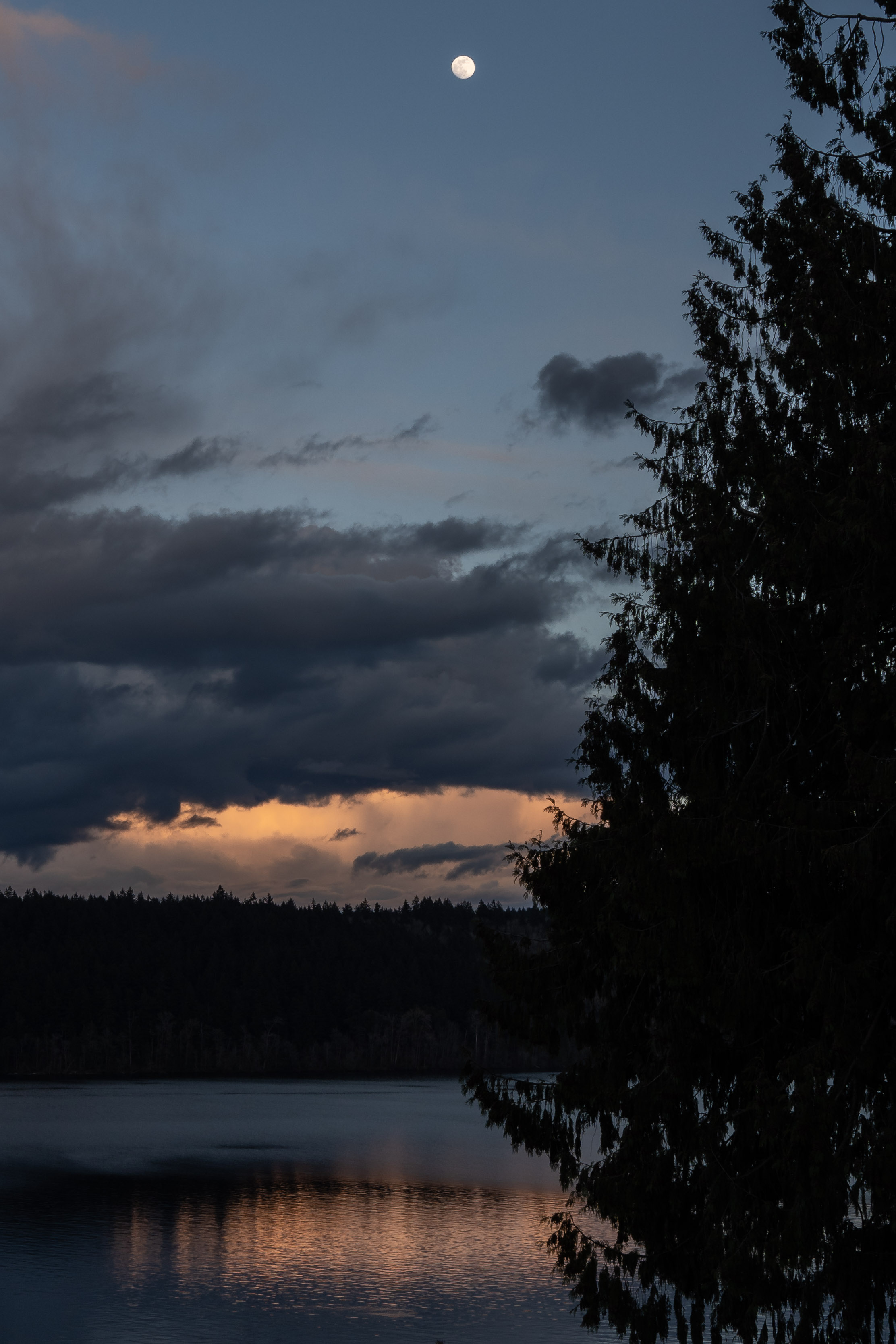 Download wallpaper 2224x3336 lake, trees, silhouettes, moon, night hd ...