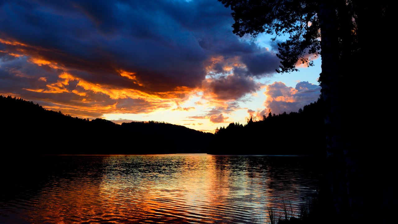 Wallpaper lake, trees, sunset, glare, dusk hd, picture, image