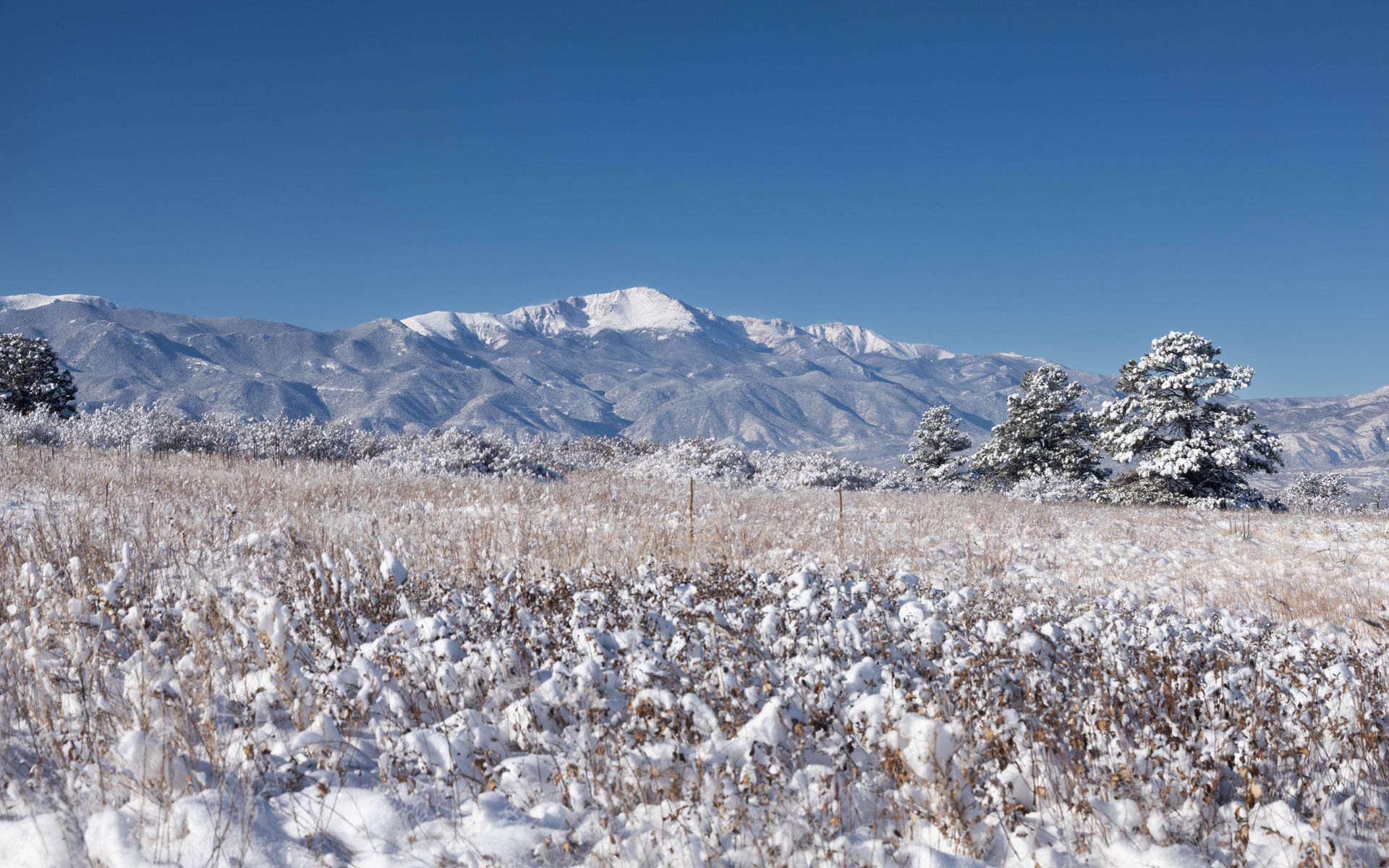 Download wallpaper 1920x1200 landscape, mountains, field, snow, winter ...