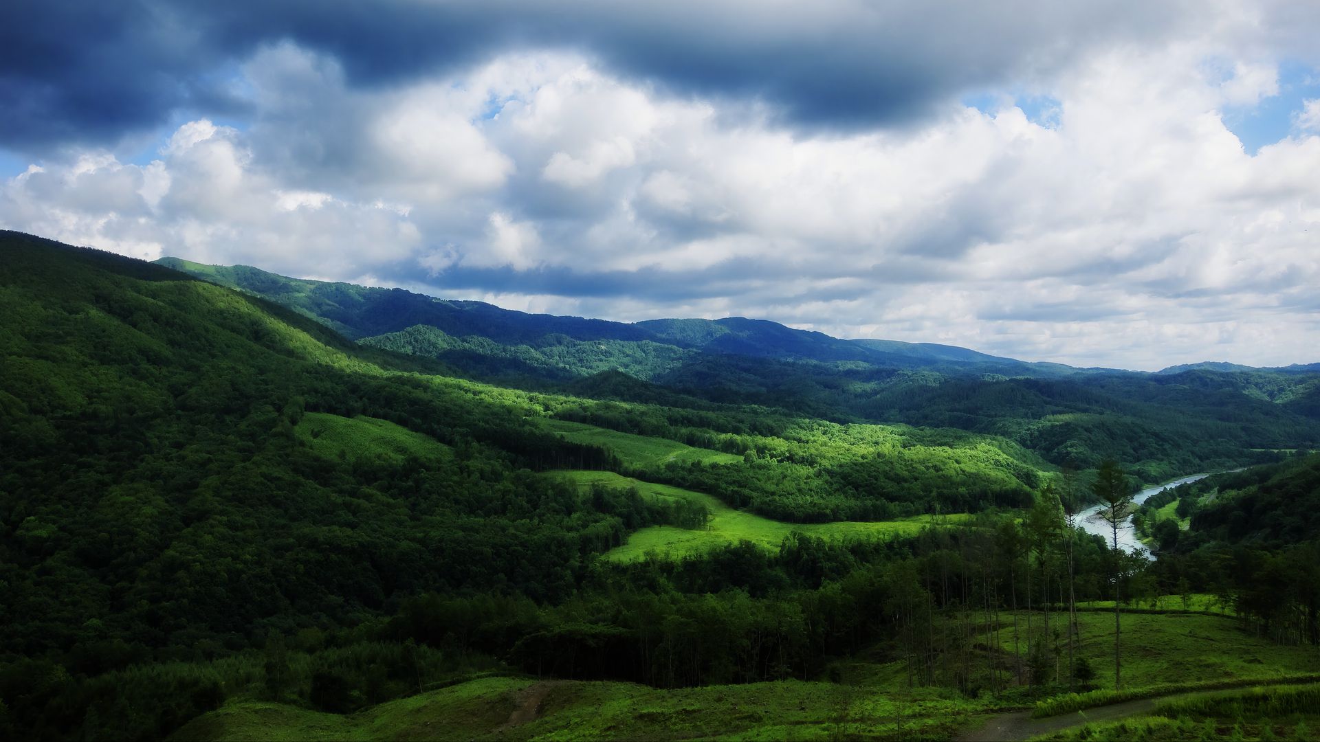 Download wallpaper 1920x1080 landscape, nature, river, forest full hd ...