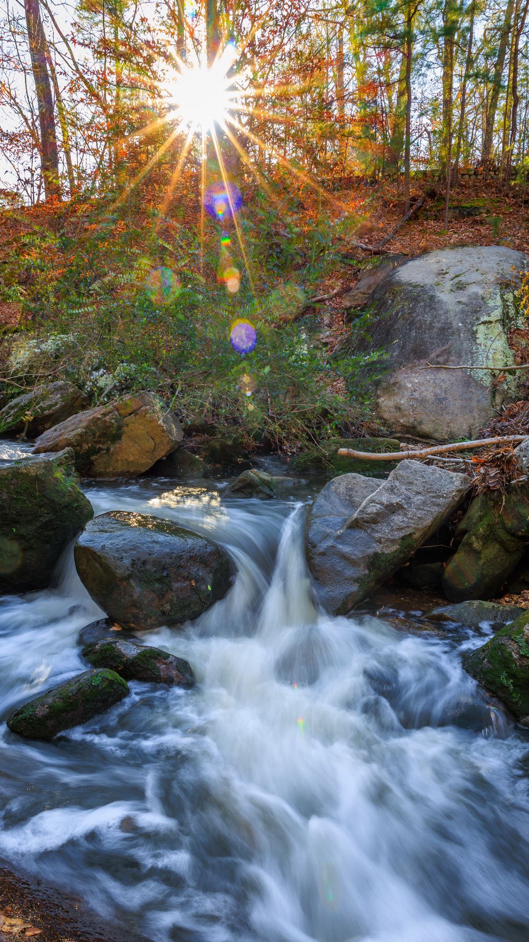 Download wallpaper 1080x1920 landscape, river, forest, stones, water ...