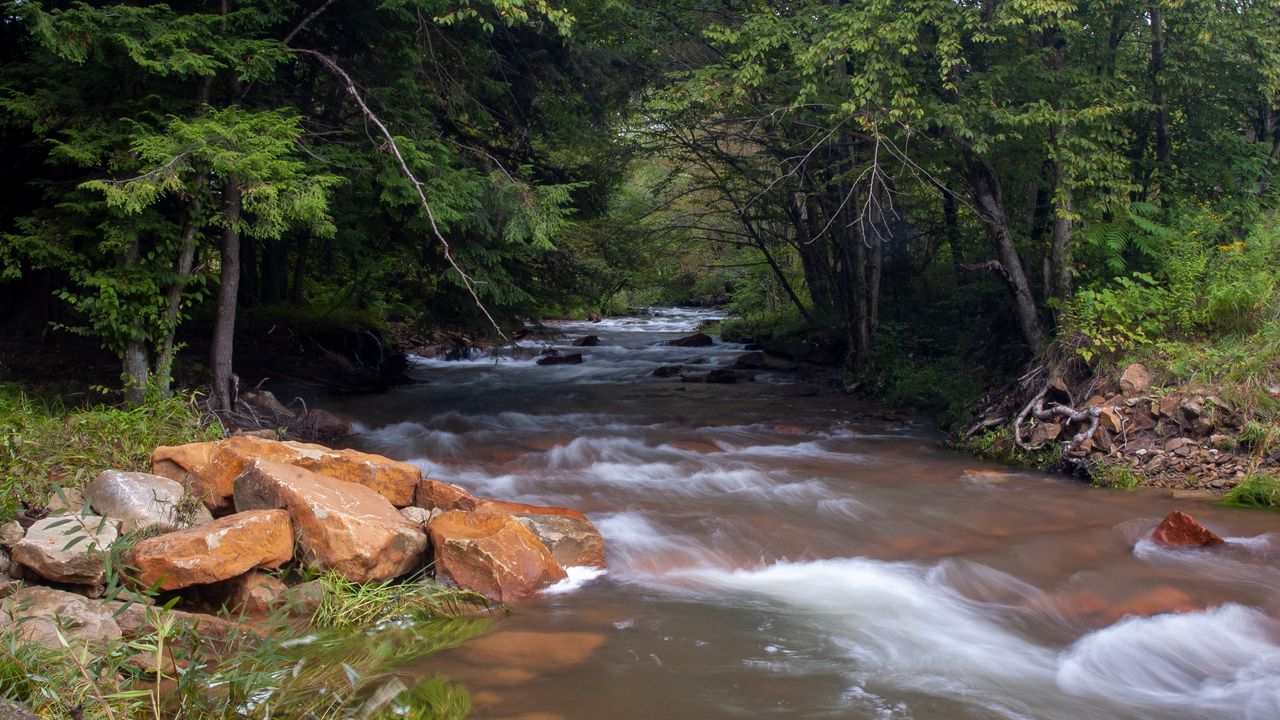 Wallpaper landscape, river, stones, trees, nature hd, picture, image