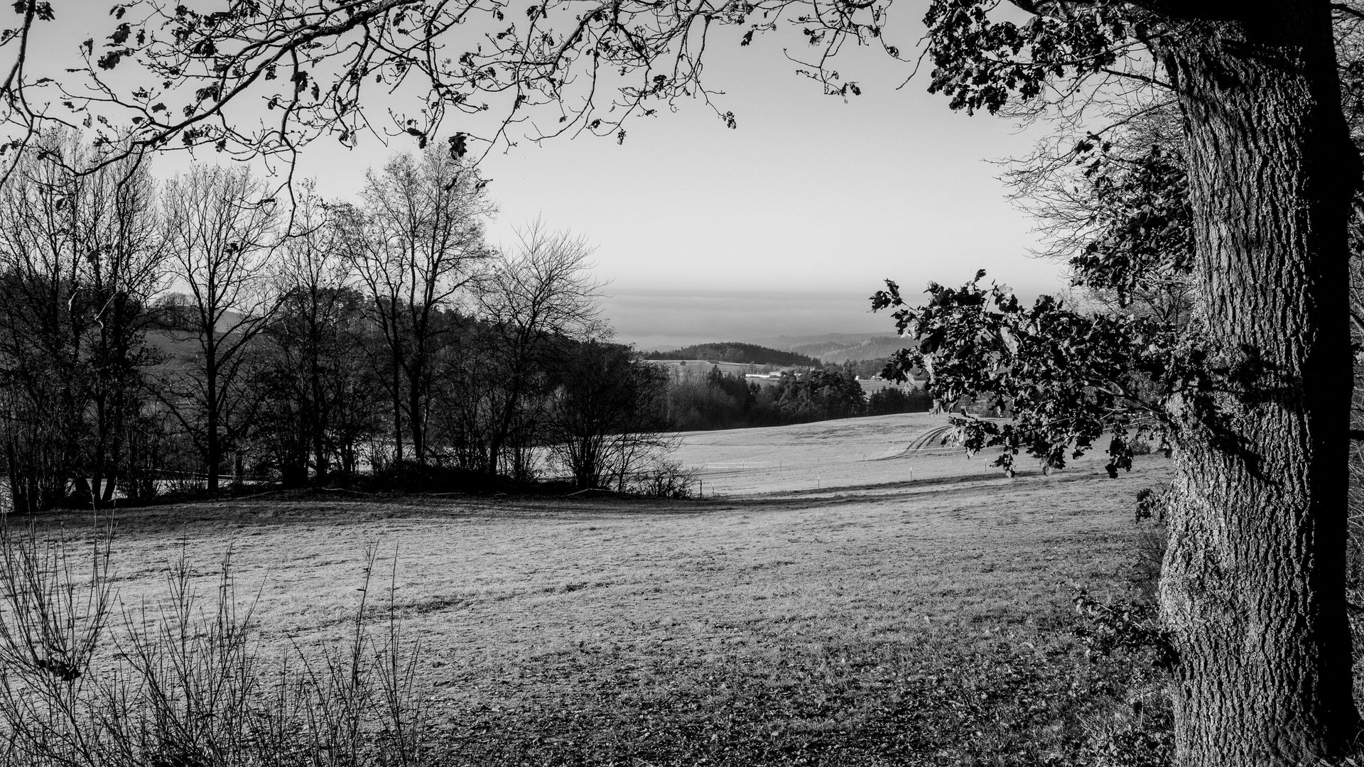 Download Wallpaper 1920x1080 Lawn Landscape Bw Hills Trees Full Hd