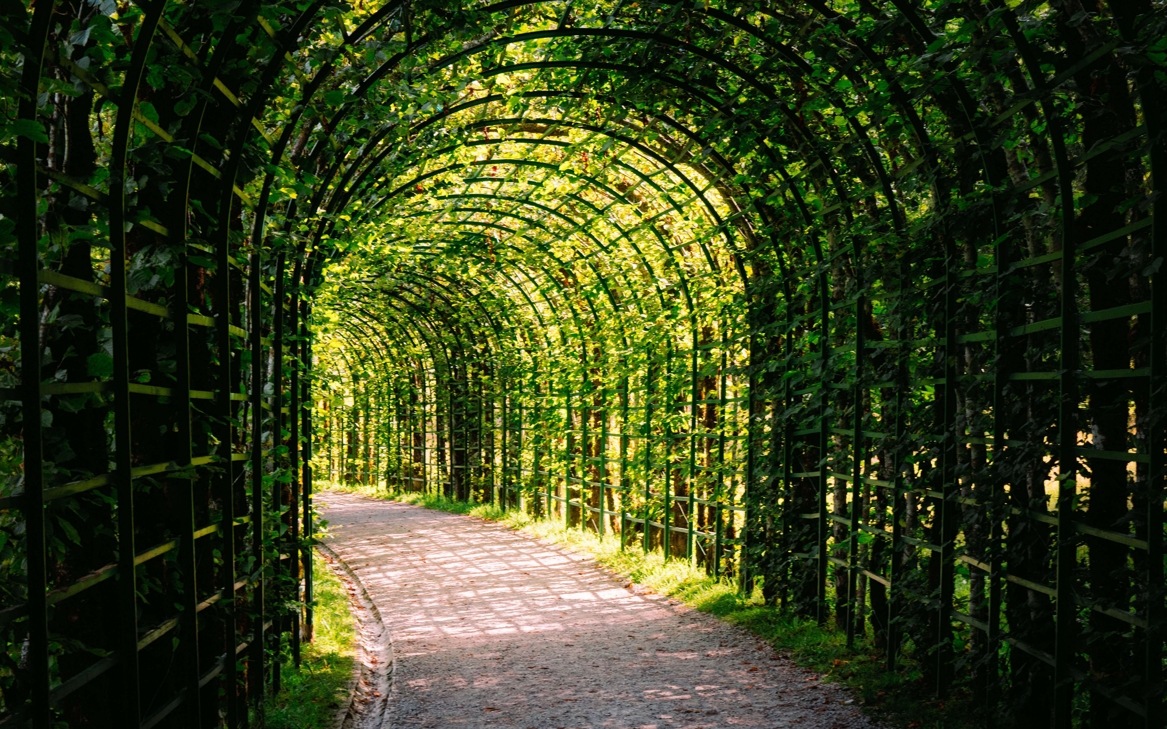 Download wallpaper 3840x2400 leaves, arch, garden, plants, nature 4k ...