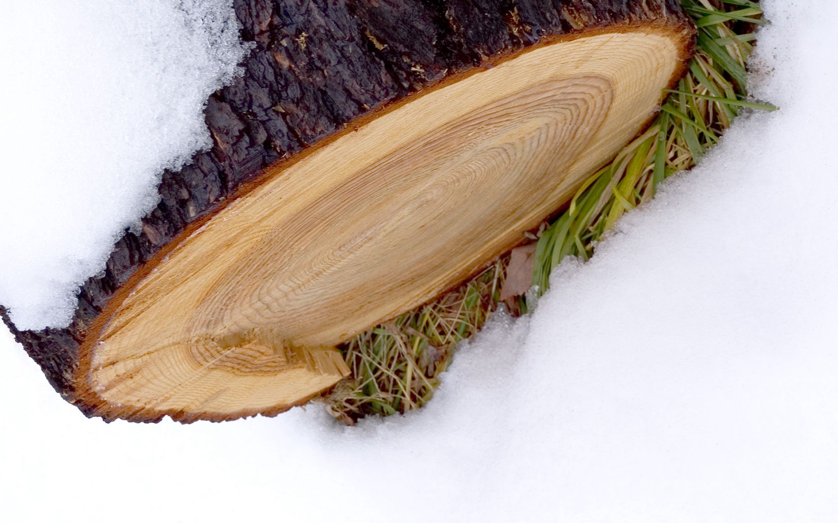 Download wallpaper 1680x1050 log, snow, winter, white widescreen 16:10 ...