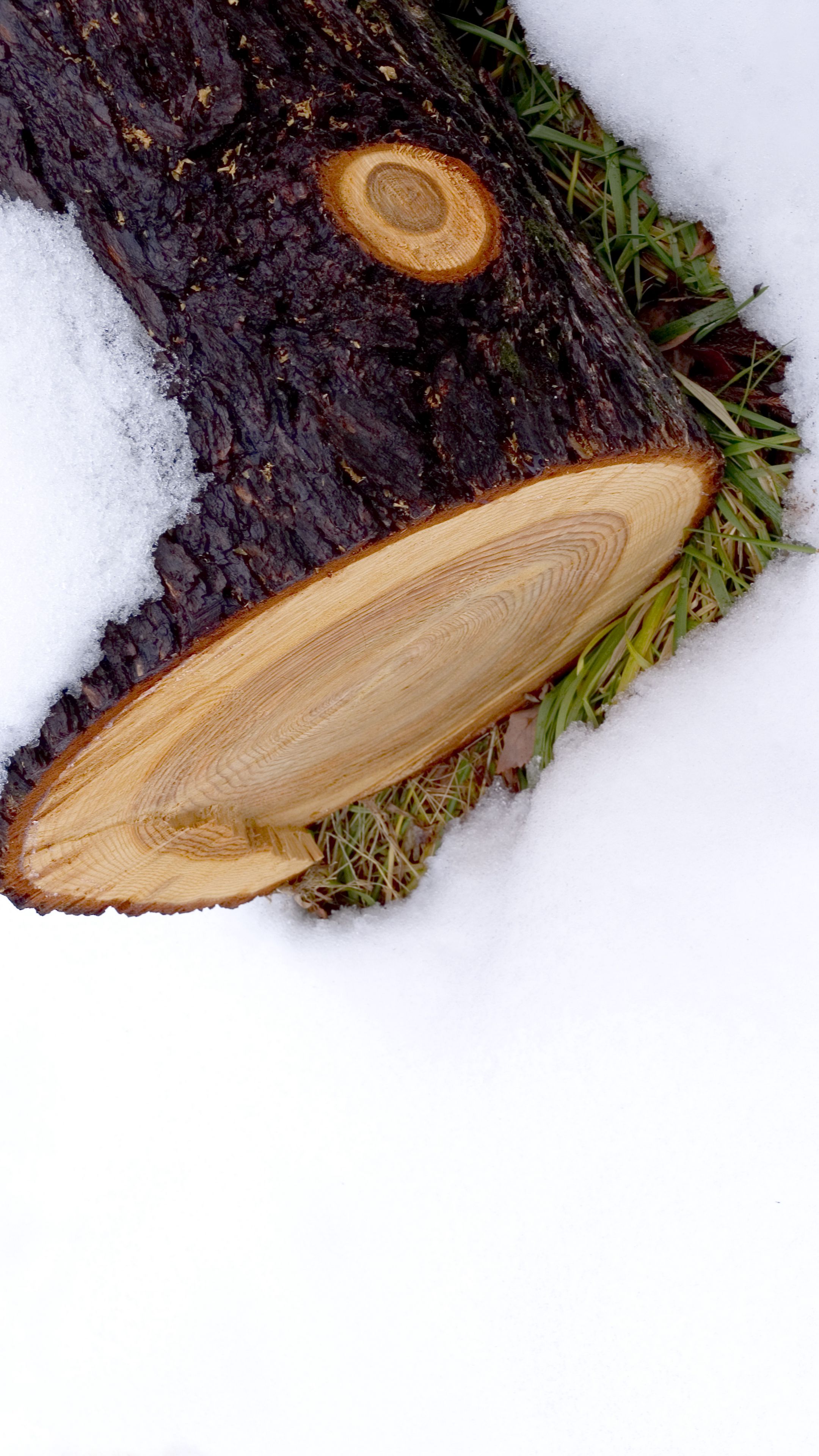 Download wallpaper 2160x3840 log, snow, winter, white samsung galaxy s4 ...