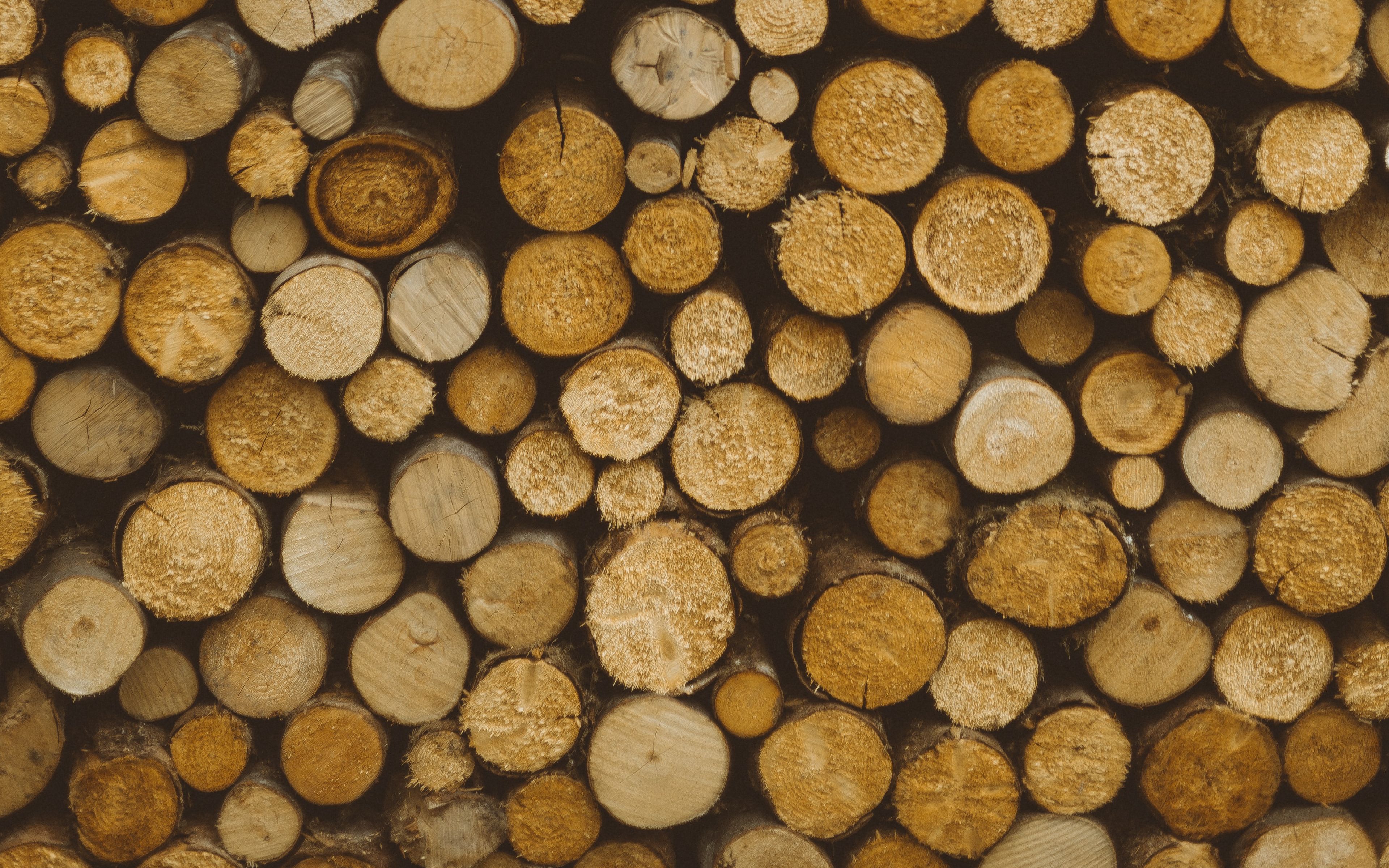 Download wallpaper 3840x2400 logs, wooden, wood, cut 4k ultra hd 16:10 ...
