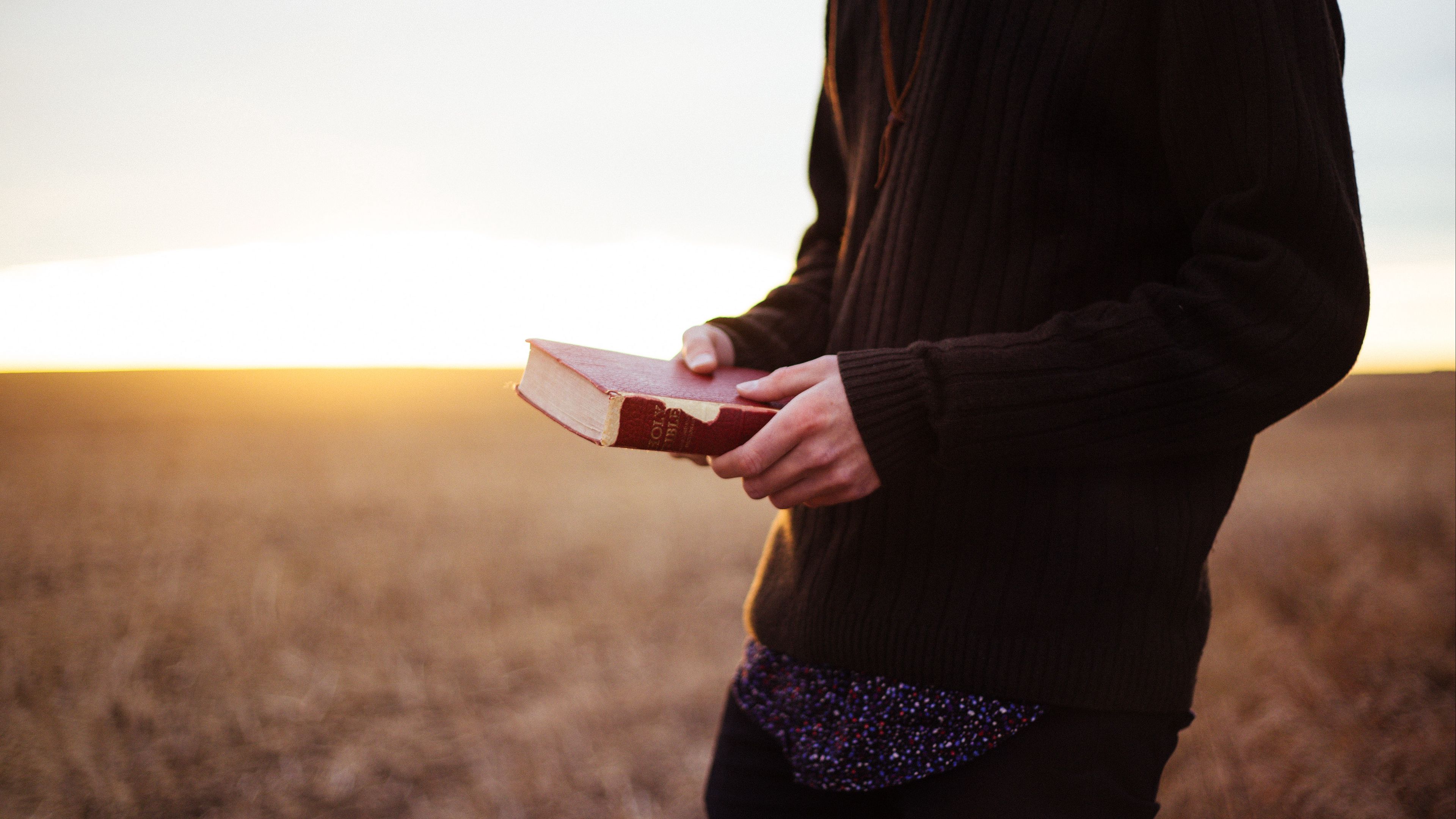 Download wallpaper 3840x2160 man, book, field, sunlight 4k uhd 16:9 hd ...