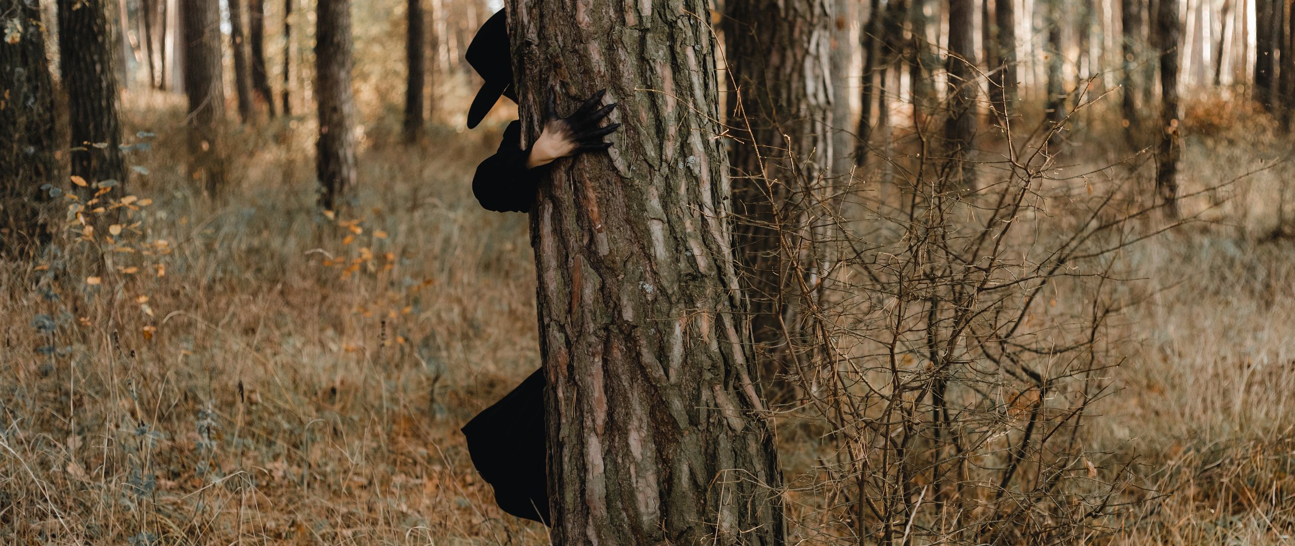 Download wallpaper 2560x1080 man, demon, hat, tree, forest dual wide ...
