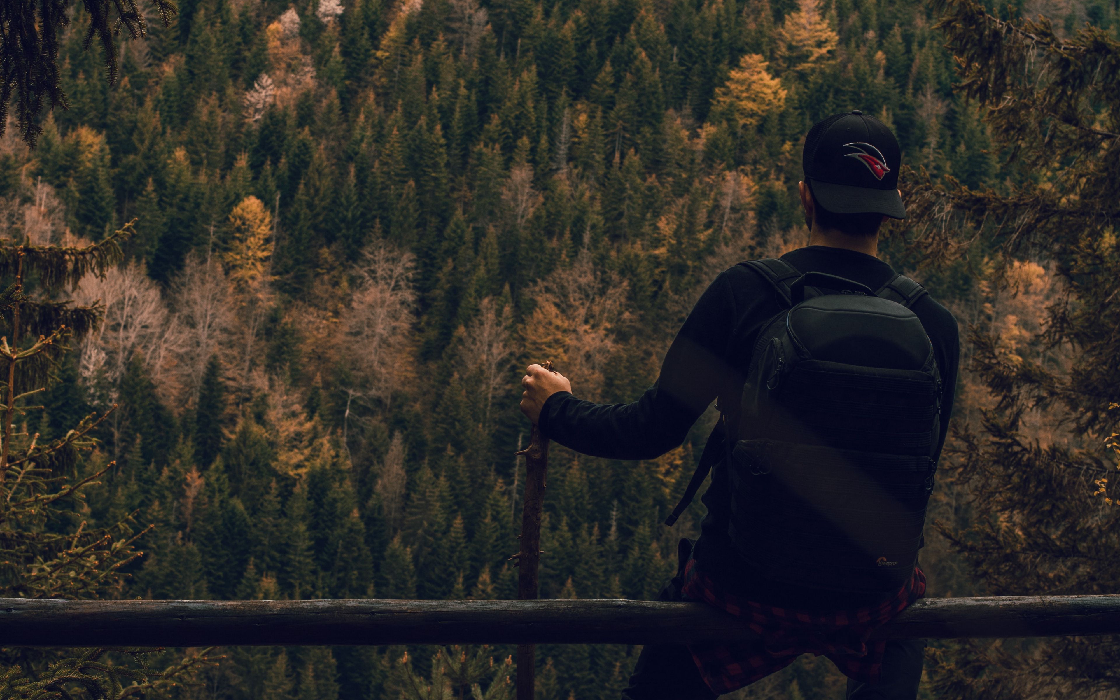 Download wallpaper 3840x2400 man, forest, nature, backpack, hiking 4k ...