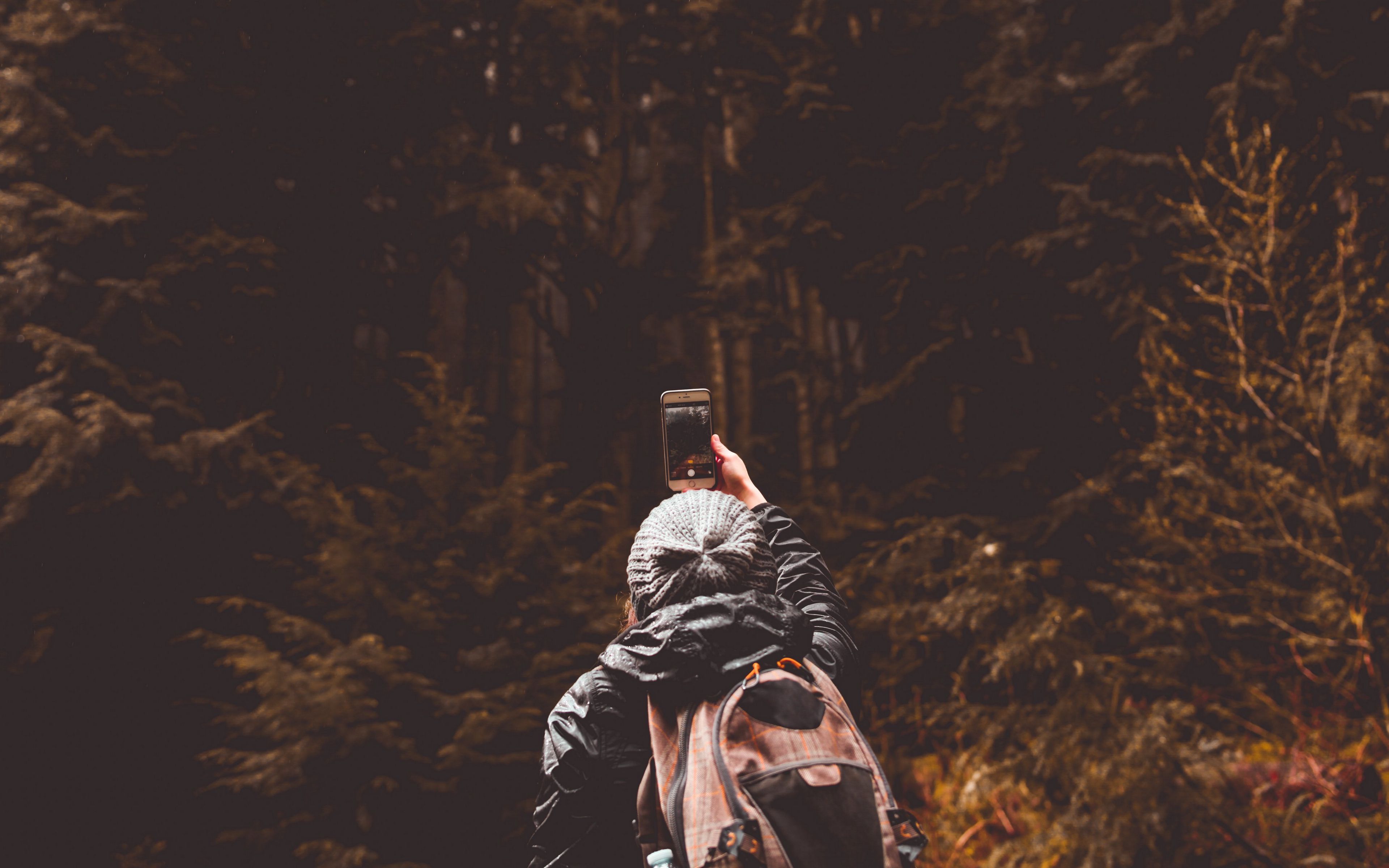 Download wallpaper 3840x2400 tourist, walk, mood, forest, travel 4k ...