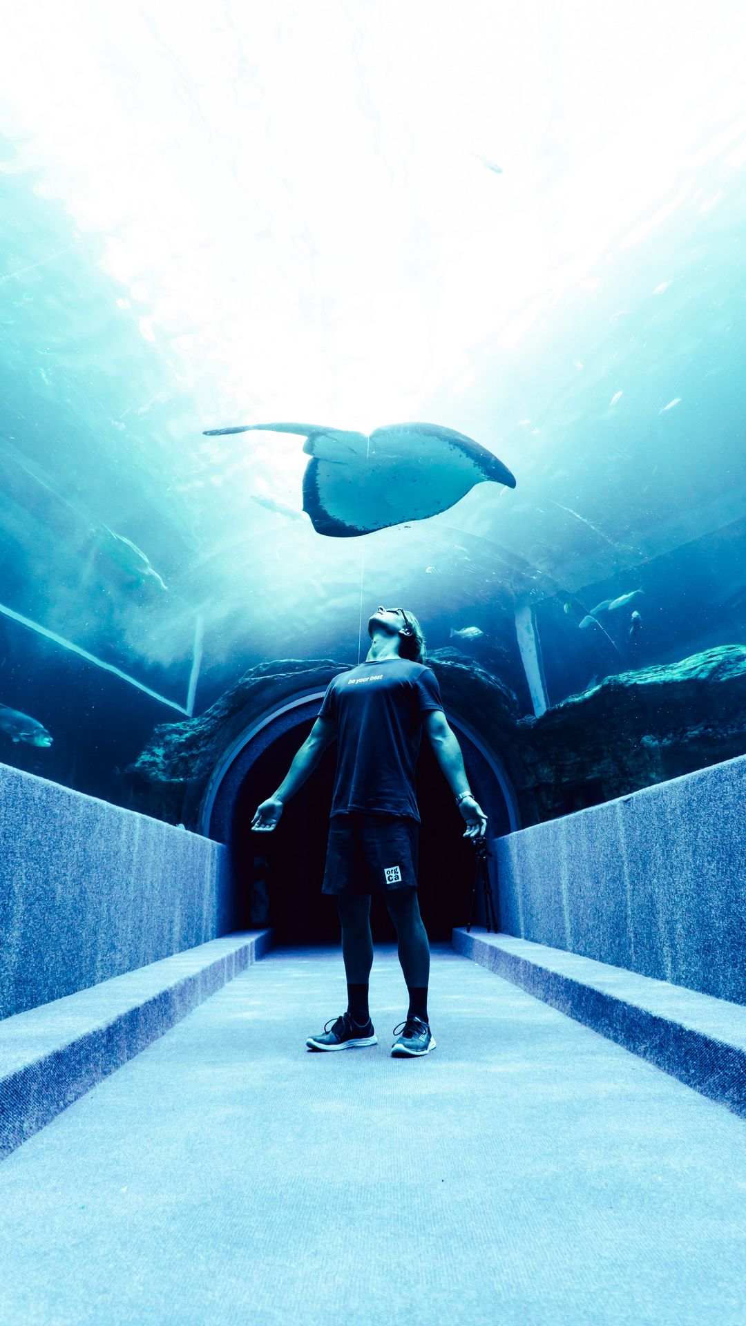 Download wallpaper 1080x1920 man, stingray, oceanarium, fish samsung ...