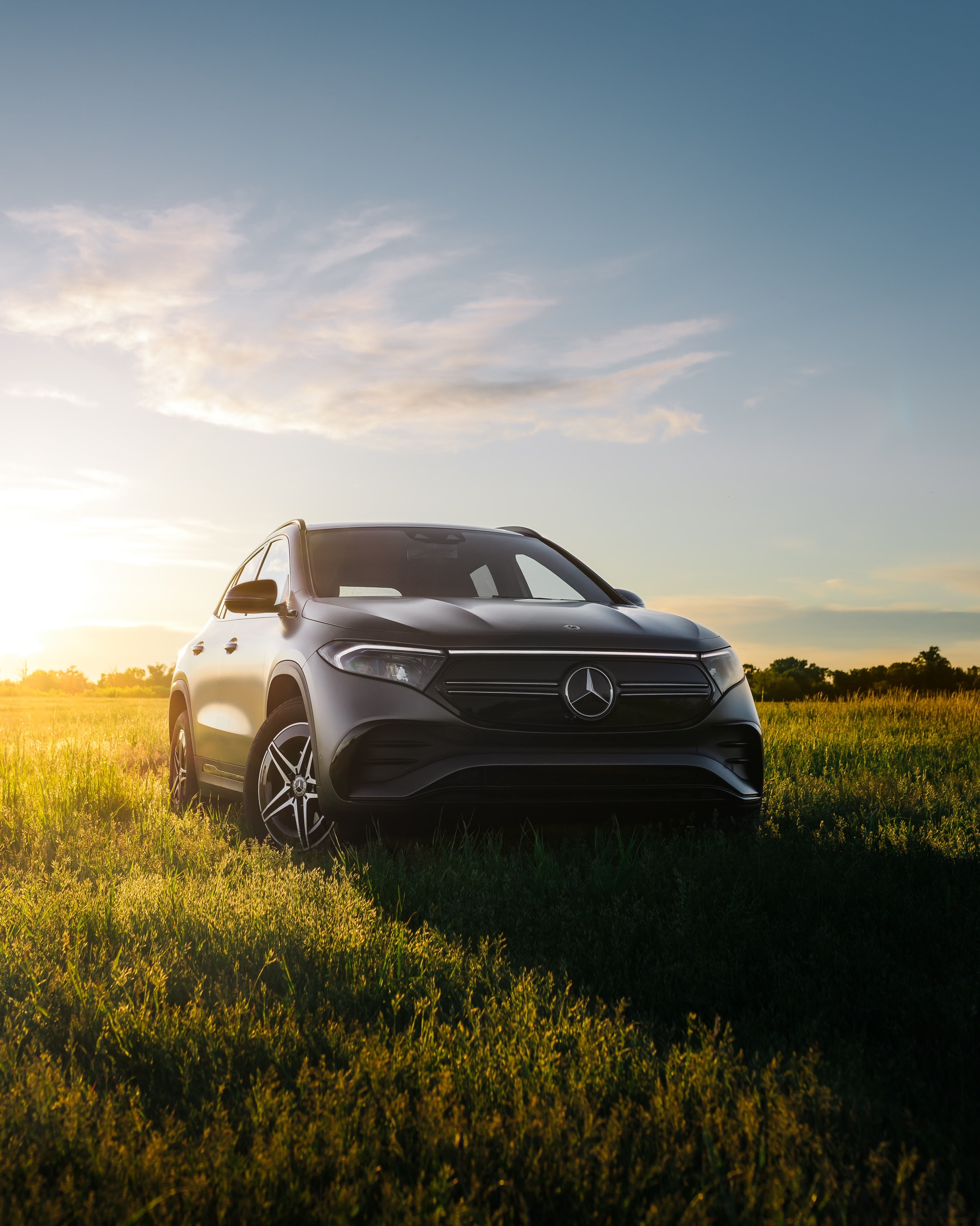 Download wallpaper 3711x4639 mercedes, car, gray, field, grass hd ...