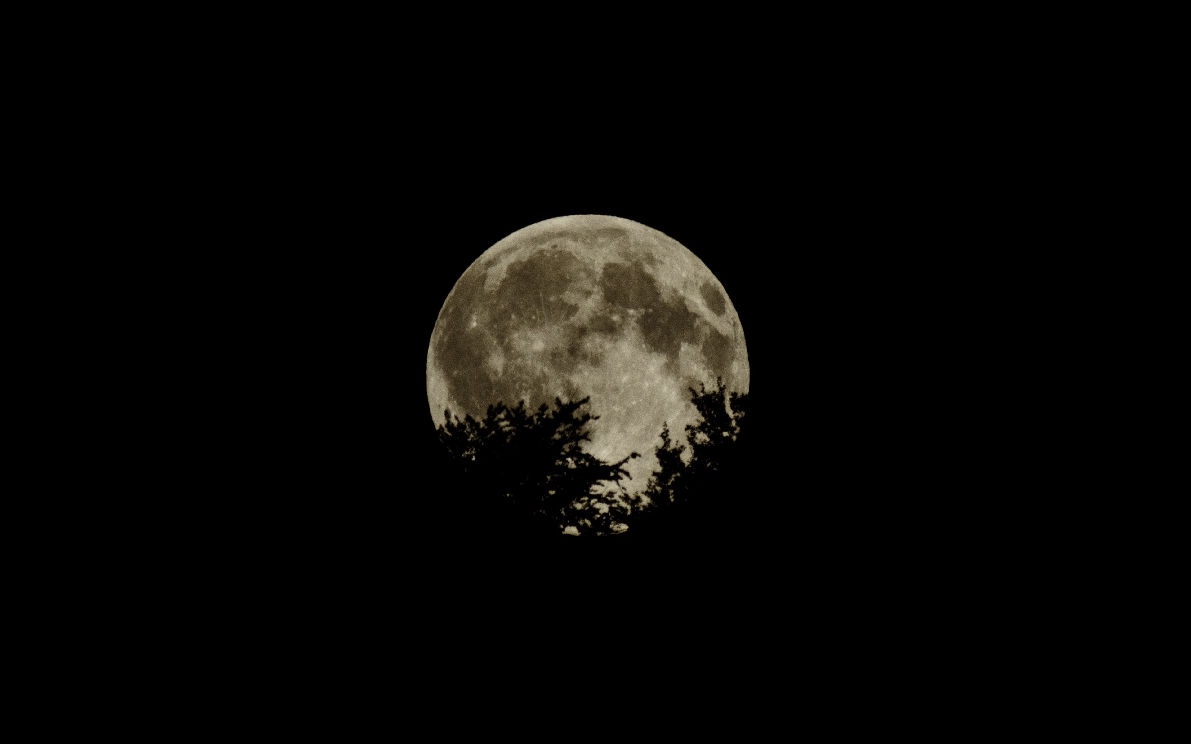 Download wallpaper 3840x2400 moon, full moon, branches, dark 4k ultra ... Download wallpaper 3840x2400 moon, full moon, branches, dark 4k ultra ...