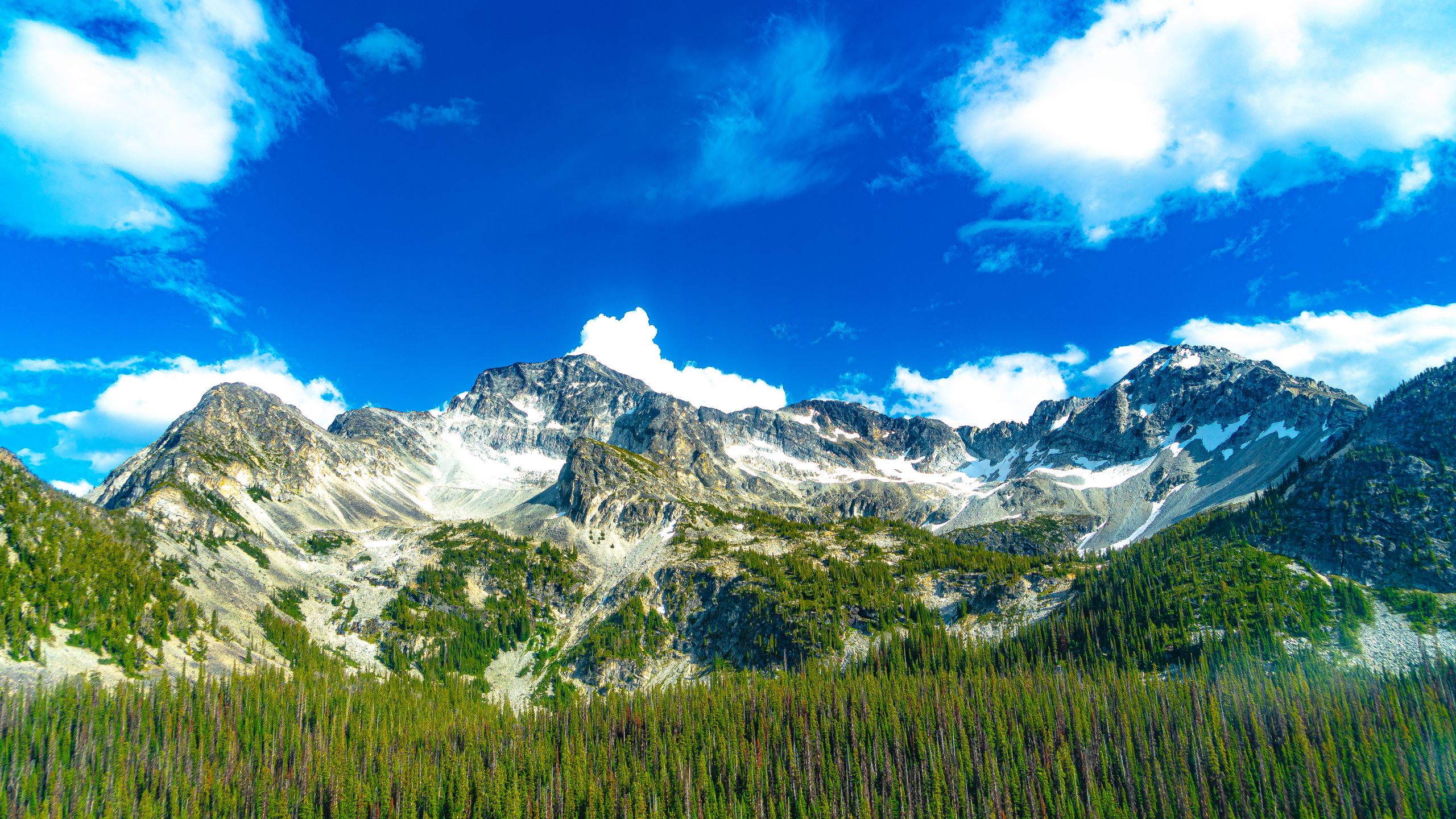 Download wallpaper 2560x1440 mountain, forest, trees, clouds, landscape ...