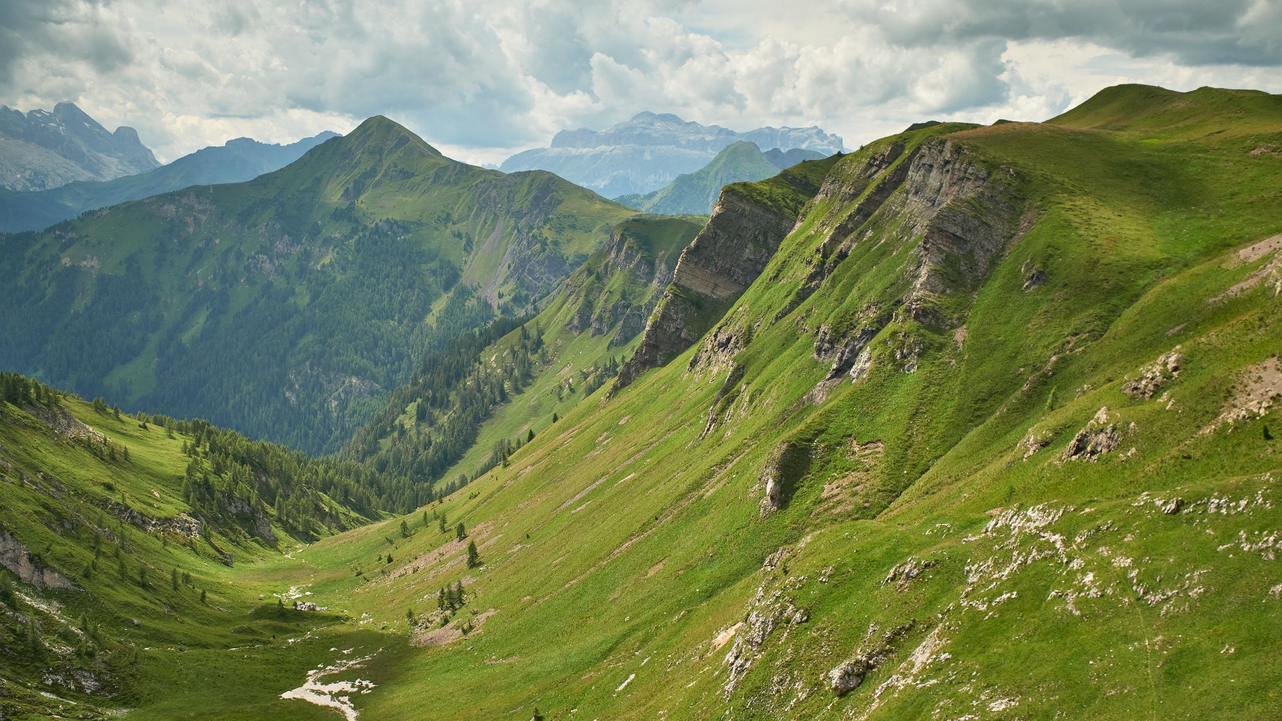 Download wallpaper 2560x1440 mountain, peak, grass, river, trees ...