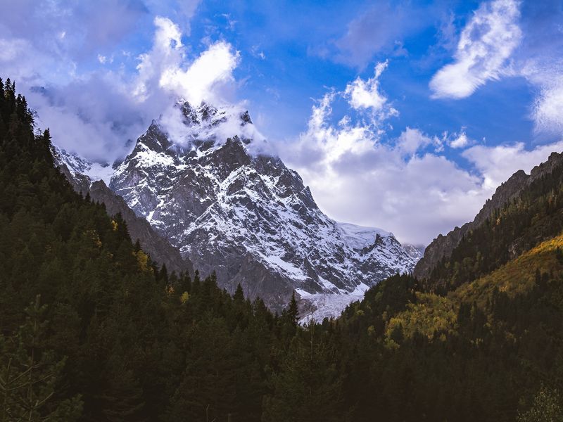Download wallpaper 800x600 mountain, peak, snow, forest, trees ...