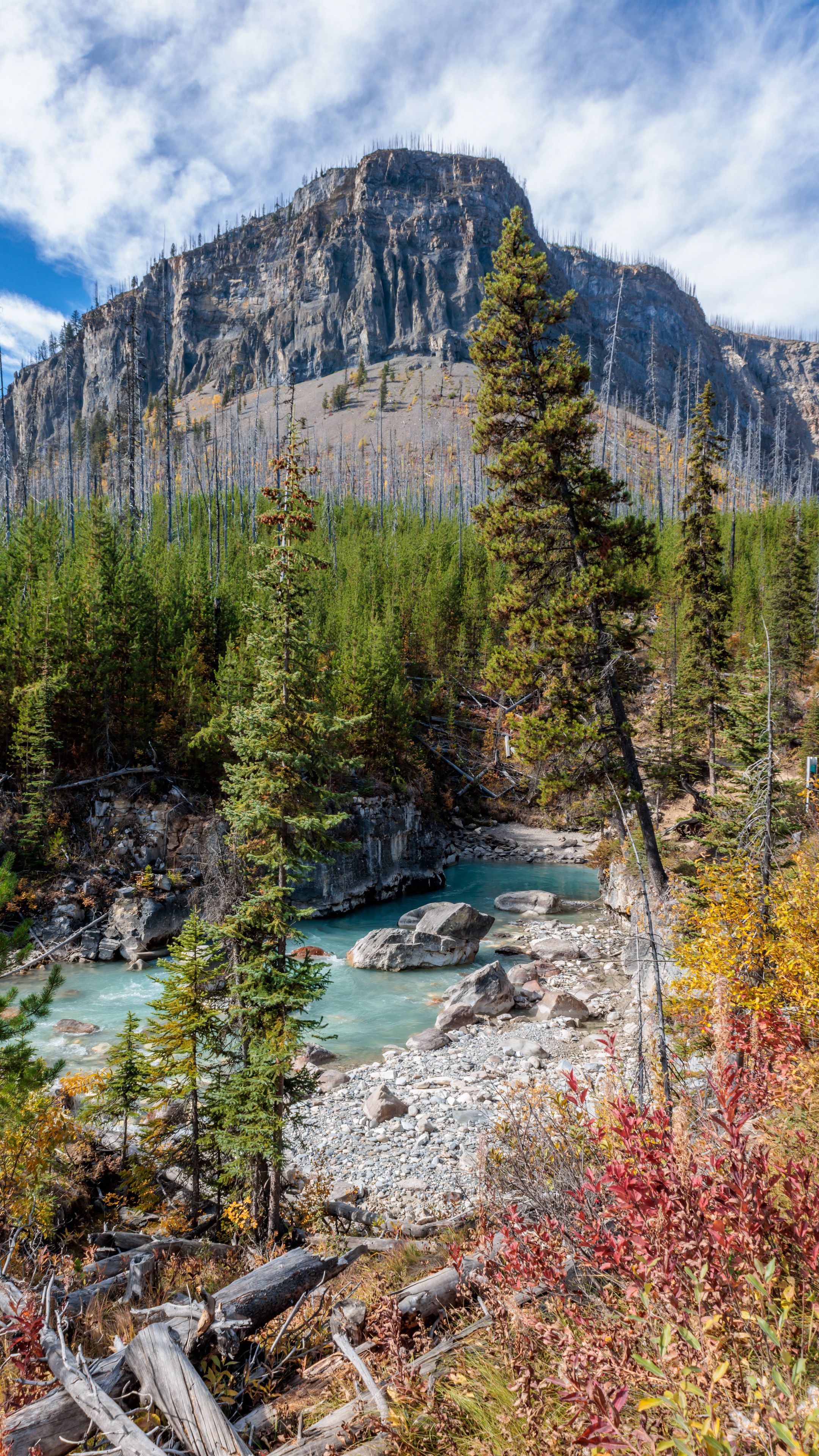 Download wallpaper 2160x3840 mountain, river, trees, landscape, nature ...