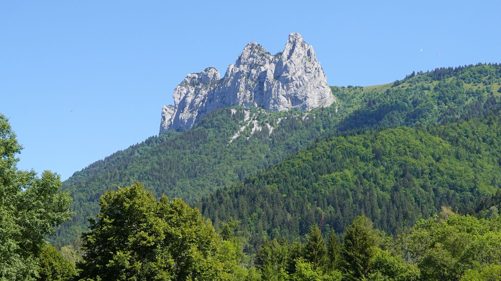 Download wallpaper 1920x1080 mountain, rock, trees, forest full hd ...
