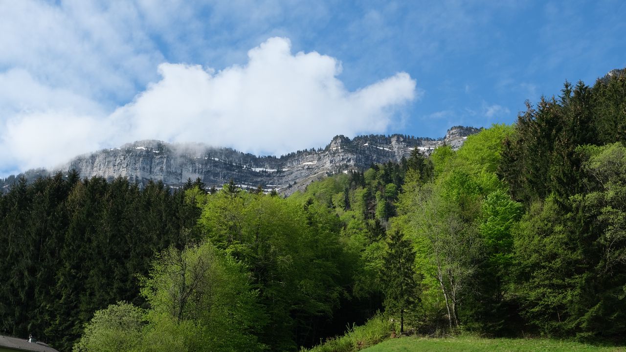 Wallpaper mountain, rock, trees, clouds, landscape, nature hd, picture ...
