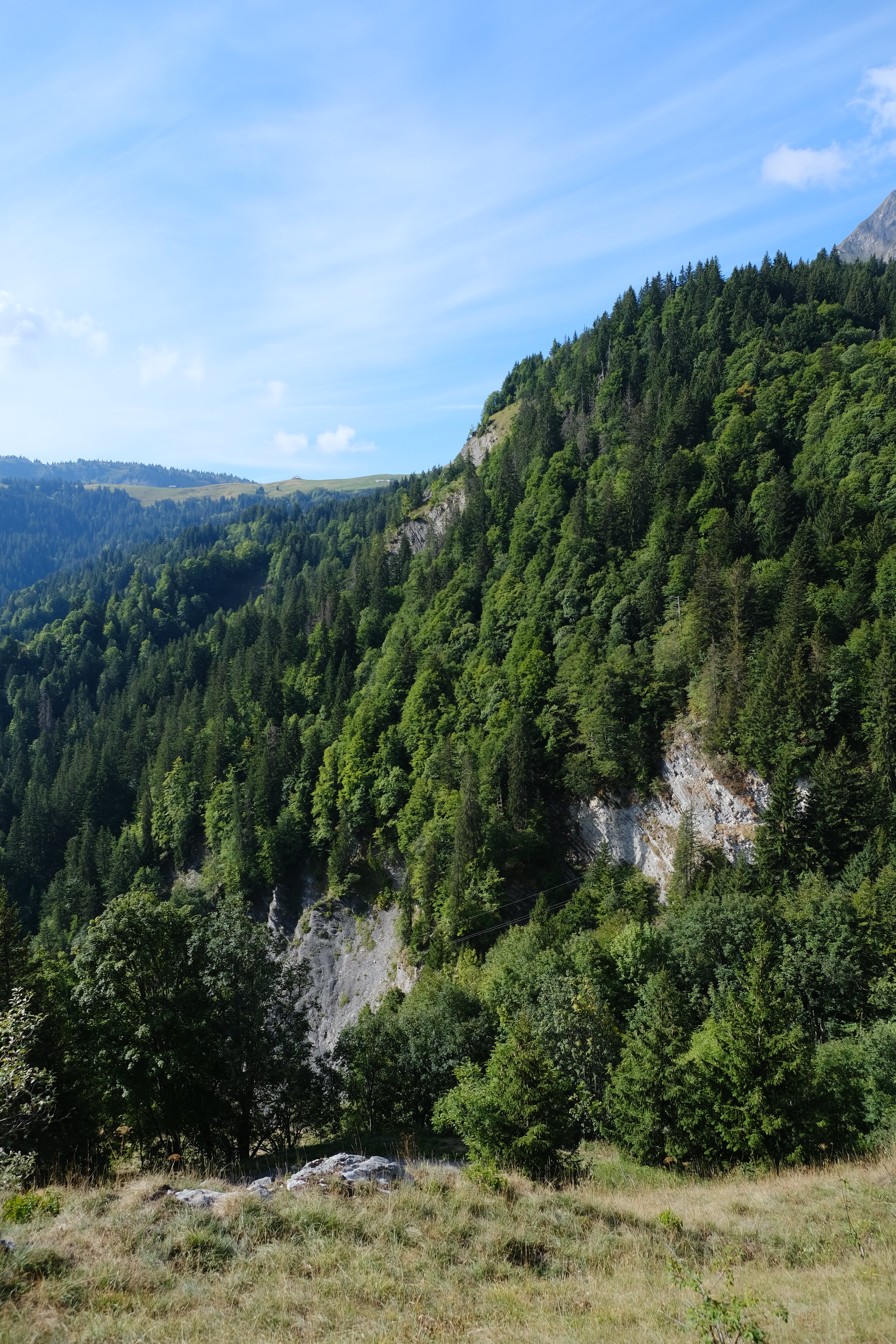 Download wallpaper 2731x4096 mountain, rock, trees, grass, landscape ...
