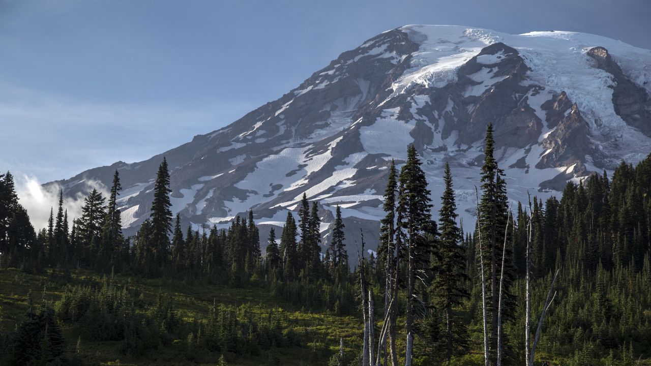 Wallpaper mountain, slope, relief, snow, trees hd, picture, image