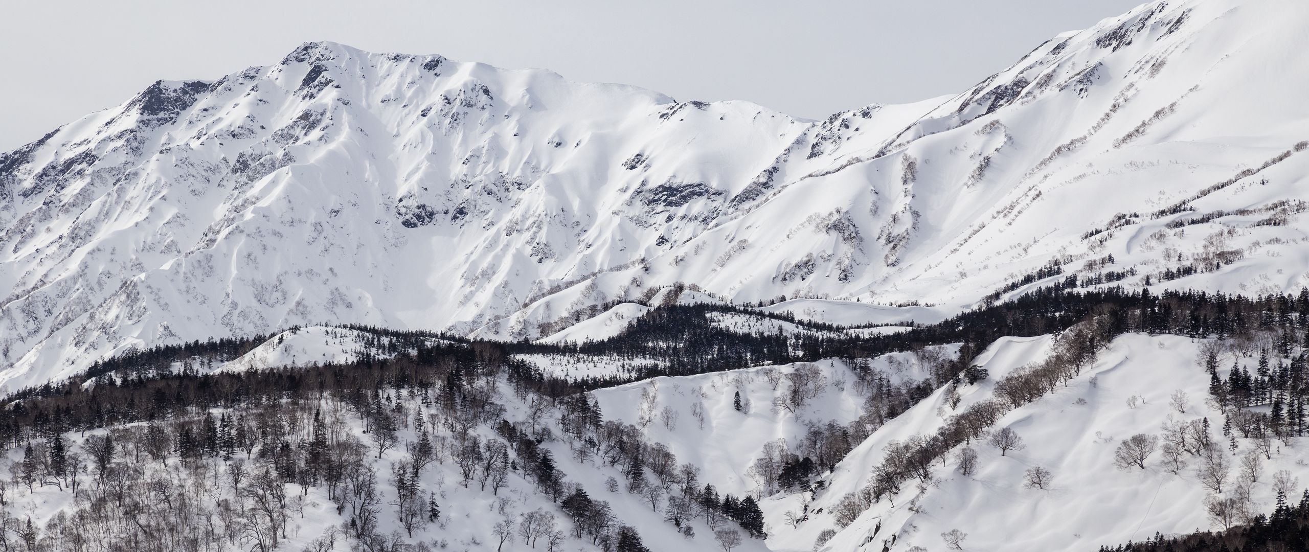 Download wallpaper 2560x1080 mountain, slope, snow, trees, winter ...