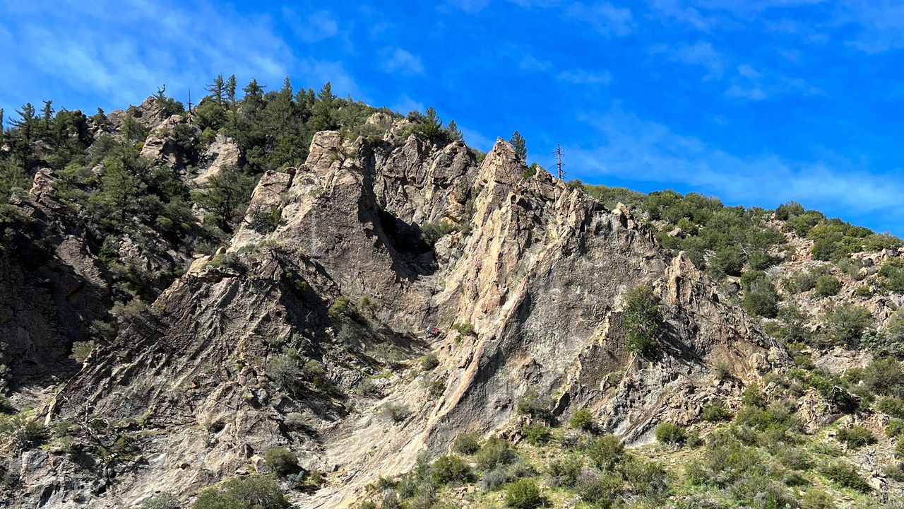 Wallpaper mountain, slope, trees, nature hd, picture, image