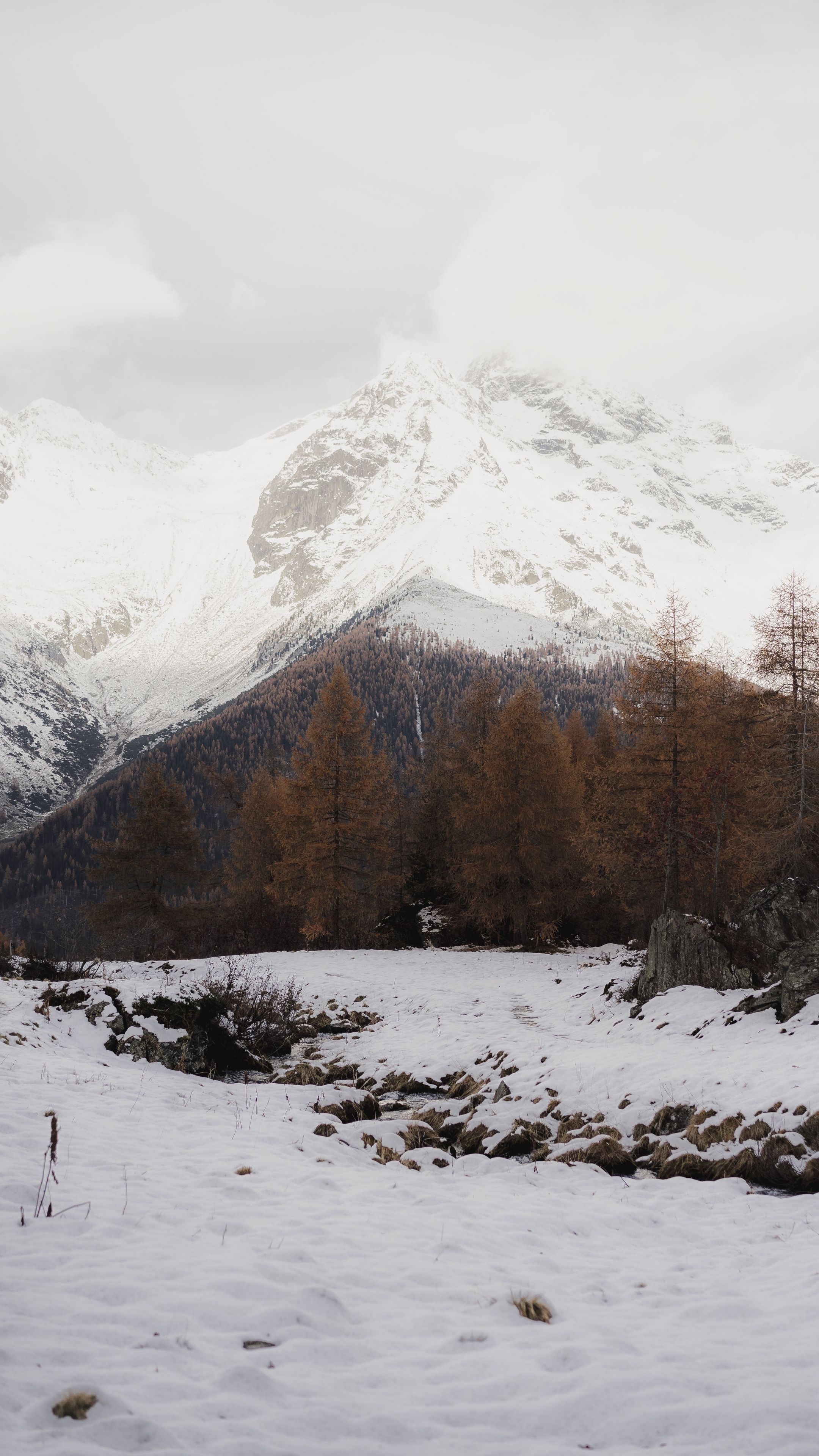 Download wallpaper 2160x3840 mountain, snow, trees, winter, landscape ...