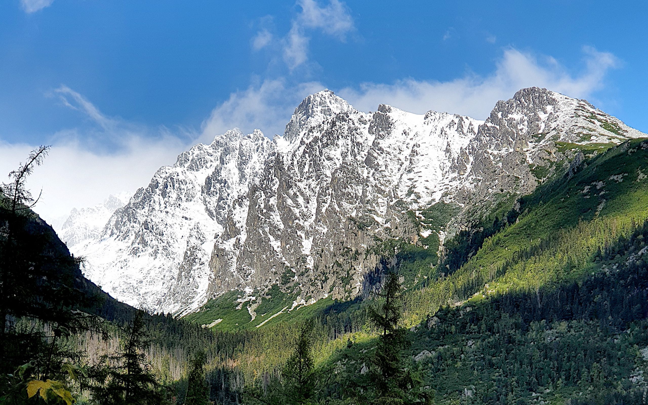Download wallpaper 2560x1600 mountain, snow, trees, slope, landscape ...